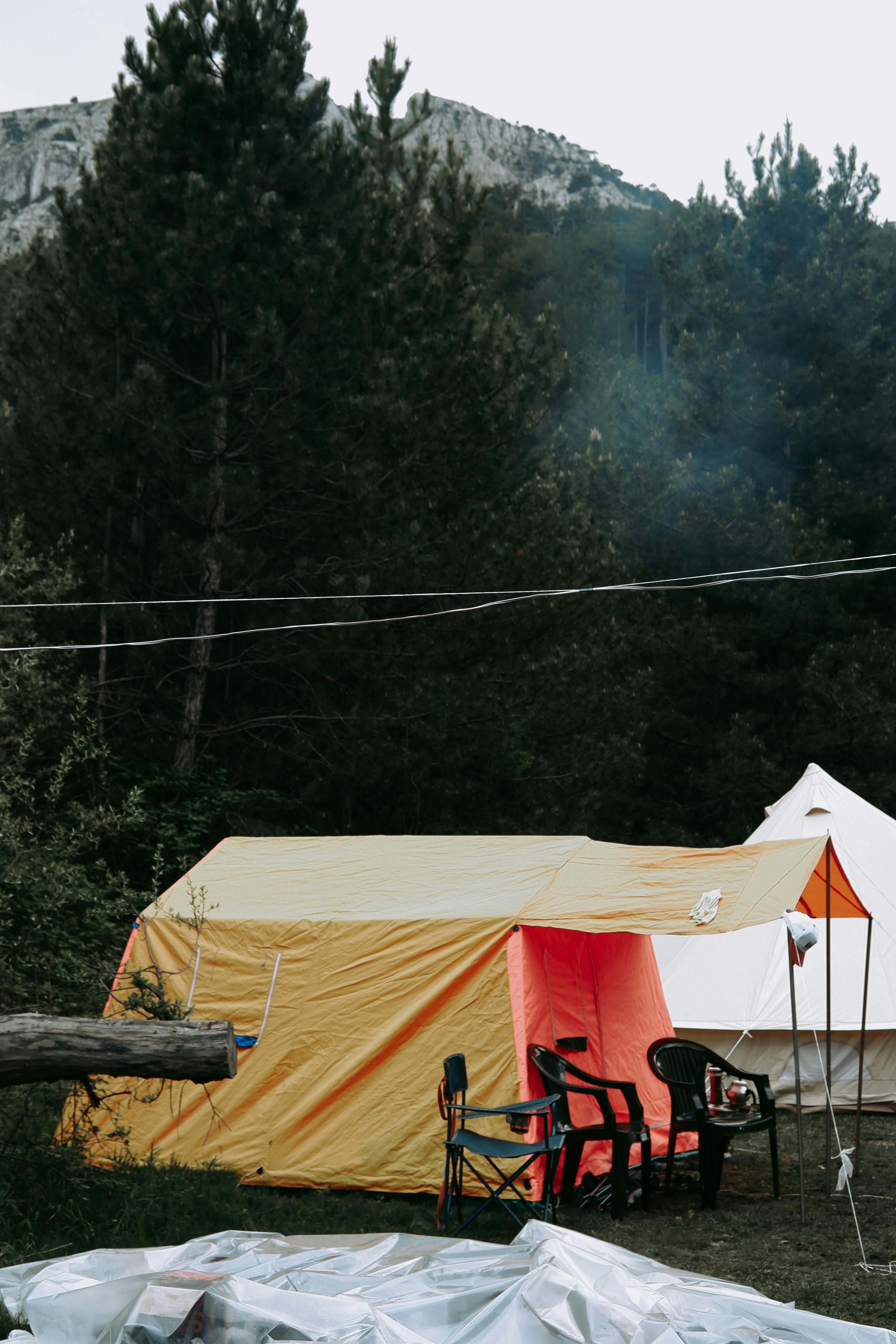 Boys Camping in Woodland · Free Stock Photo
