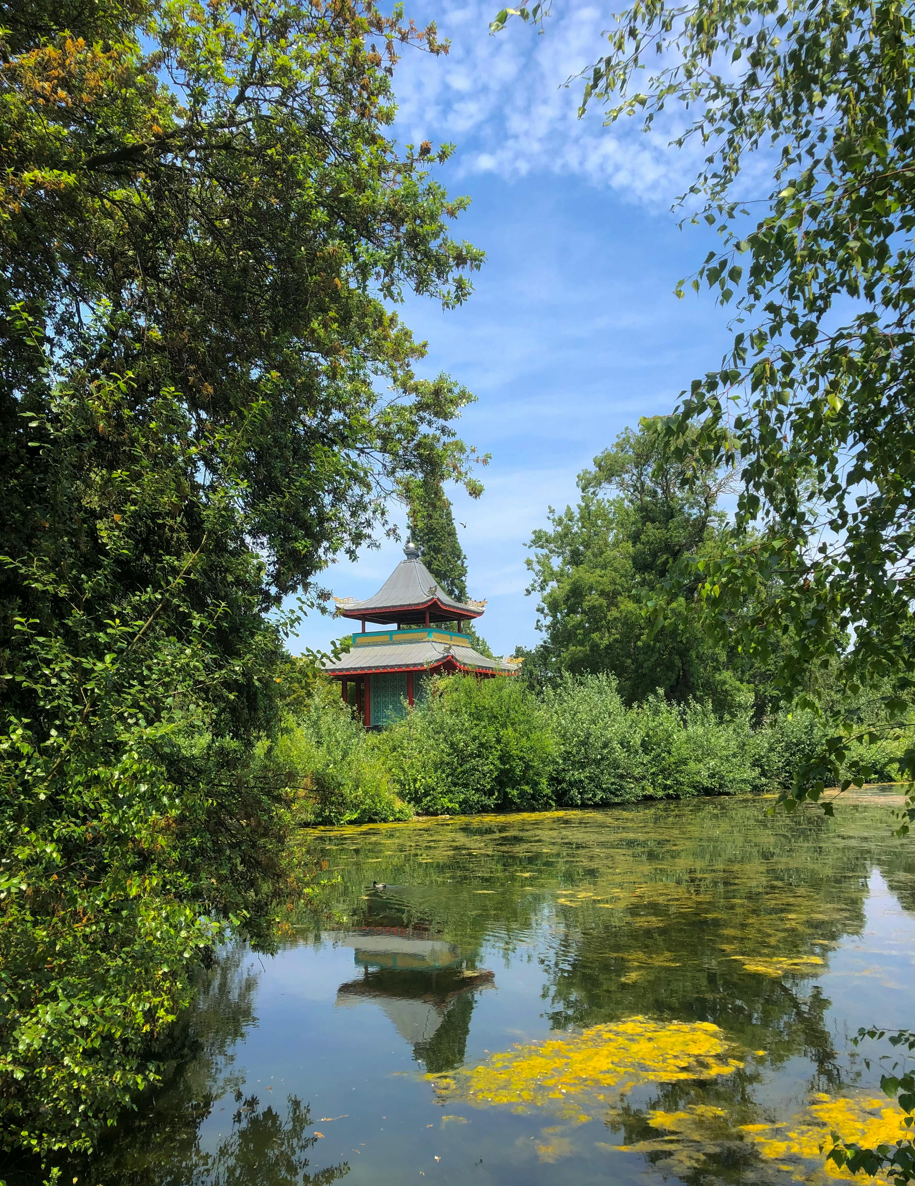 Green Trees around Lake in Park · Free Stock Photo