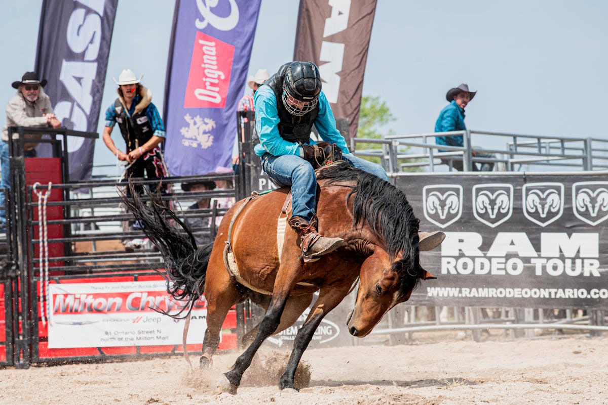 Bull Riding Photos, Download The BEST Free Bull Riding Stock Photos ...