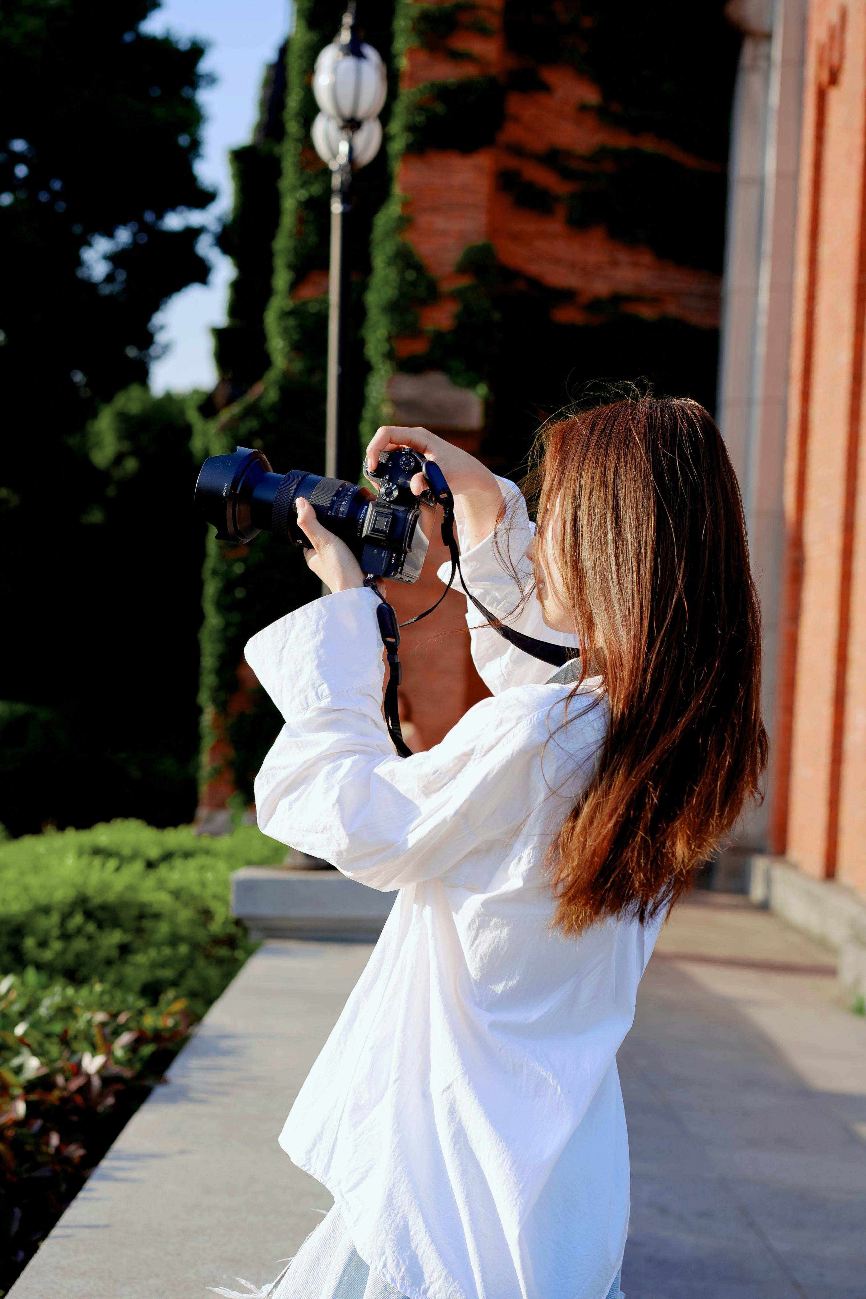 Photography Backround Photos, Download The BEST Free Photography ...