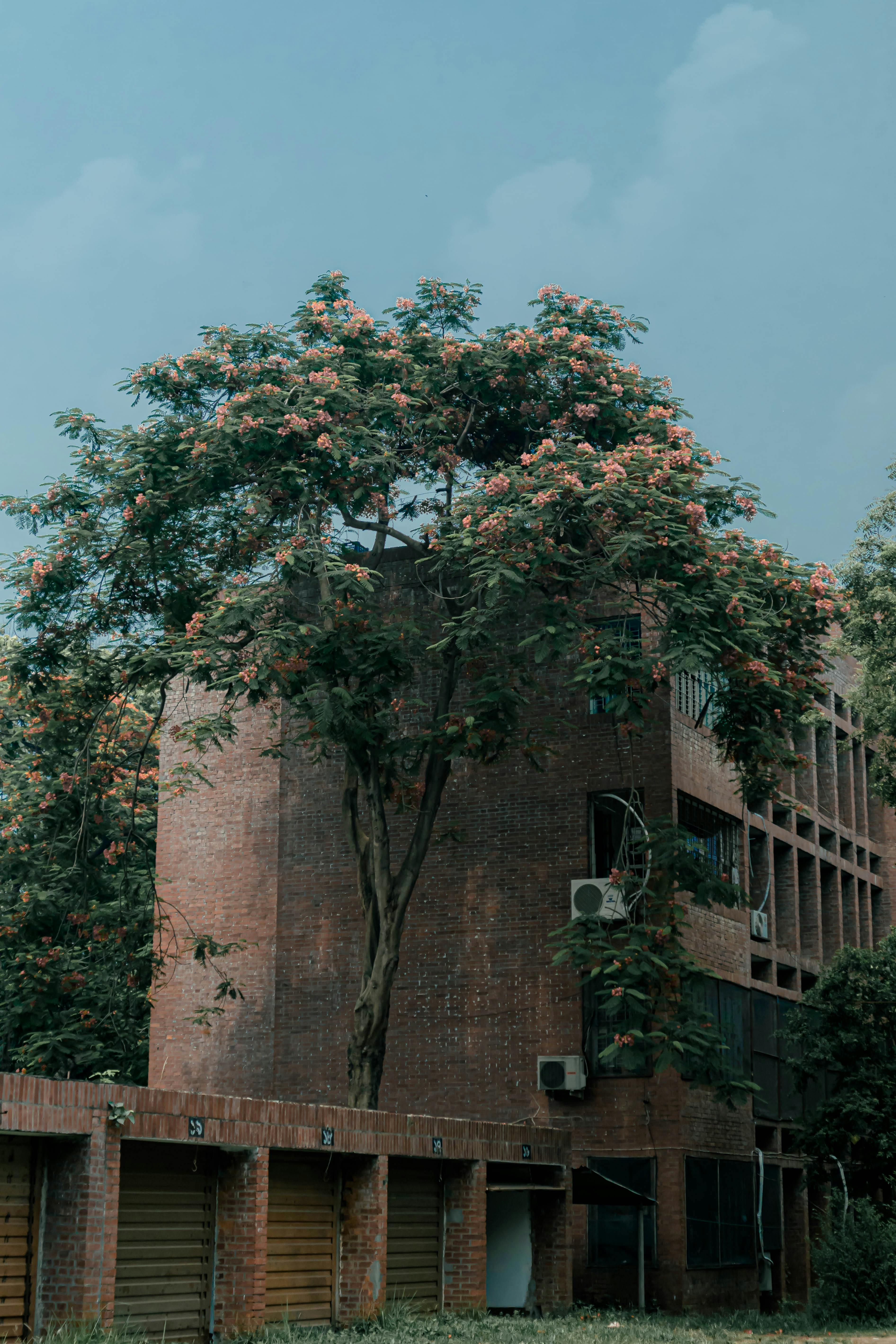 Garages Photos, Download The BEST Free Garages Stock Photos & HD Images