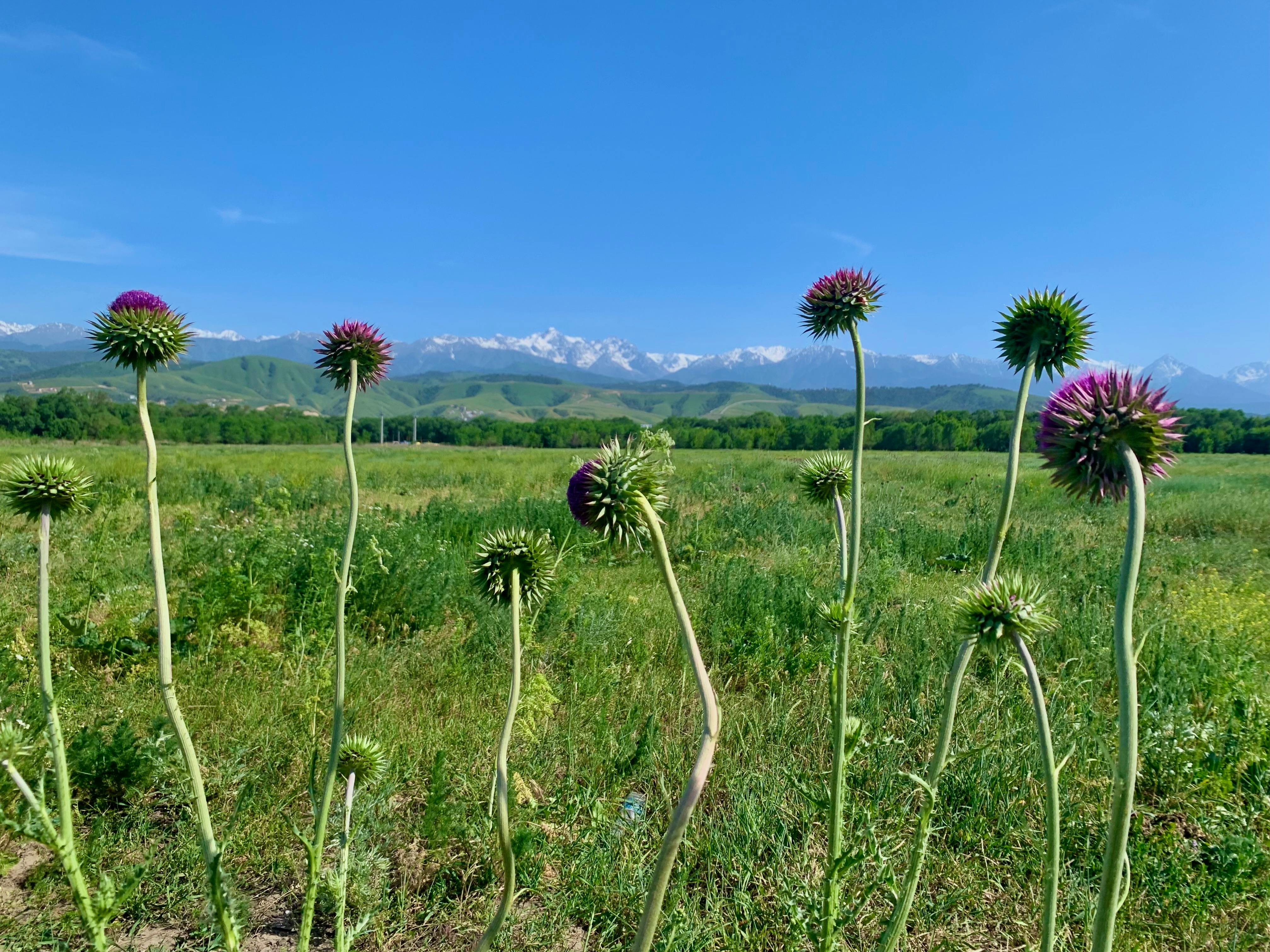 Grigoriy Bunkov - 摄影