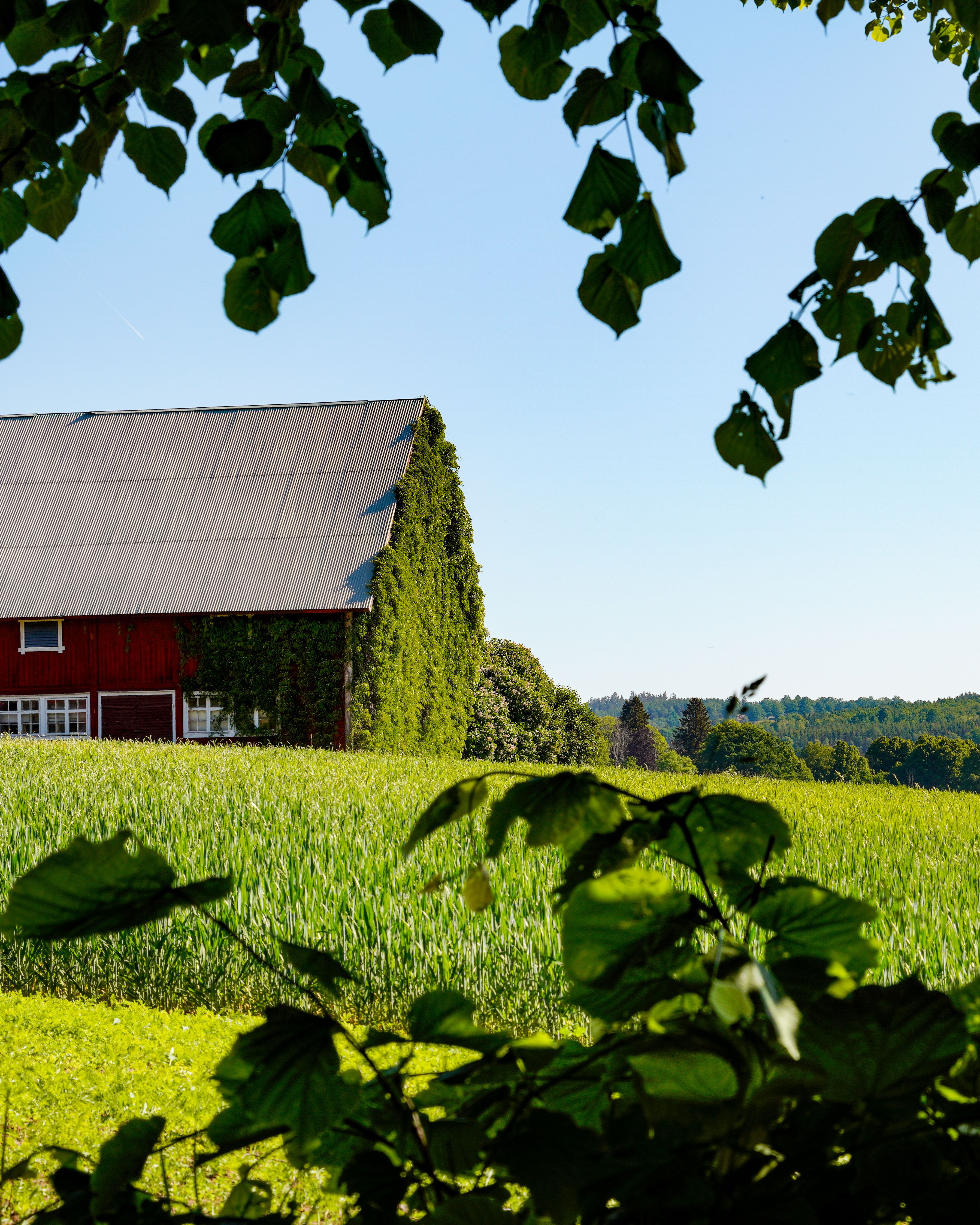 Millennial Farmhouse Photos, Download The BEST Free Millennial ...