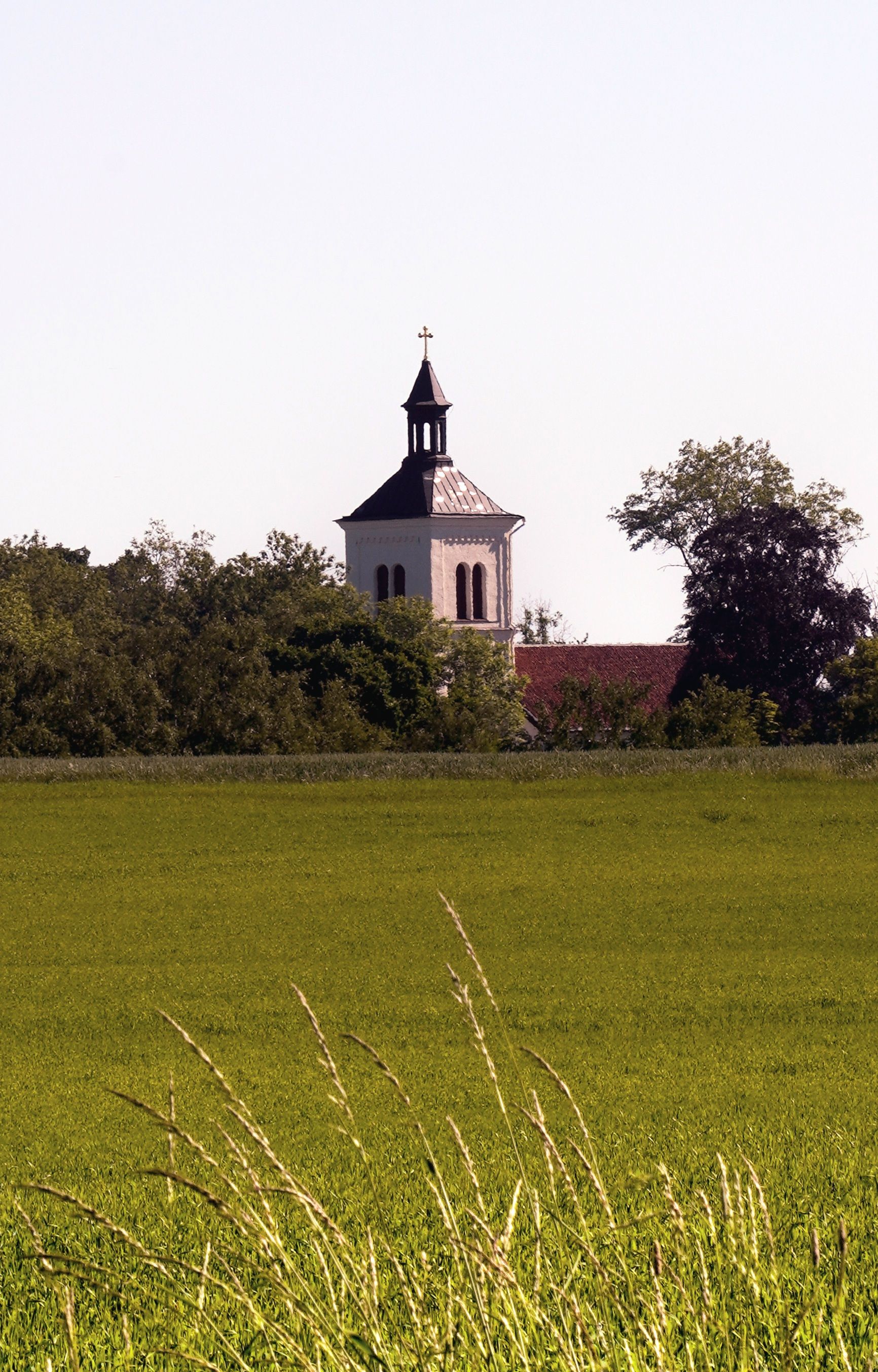 Green Field with a Church Tower in the Background · Free Stock Photo
