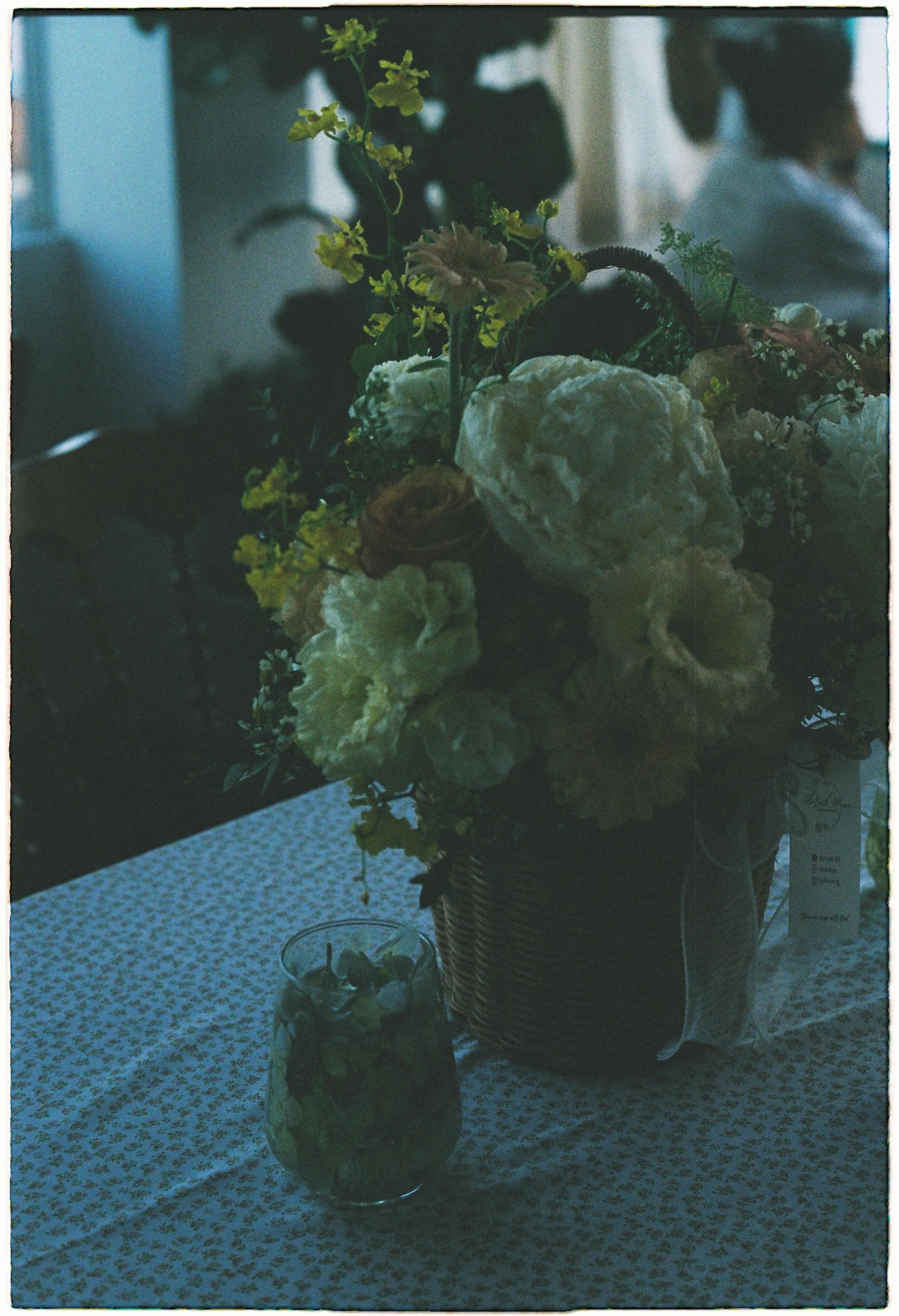 Postcard Look Photos, Download The BEST Free Postcard Look Stock Photos ...