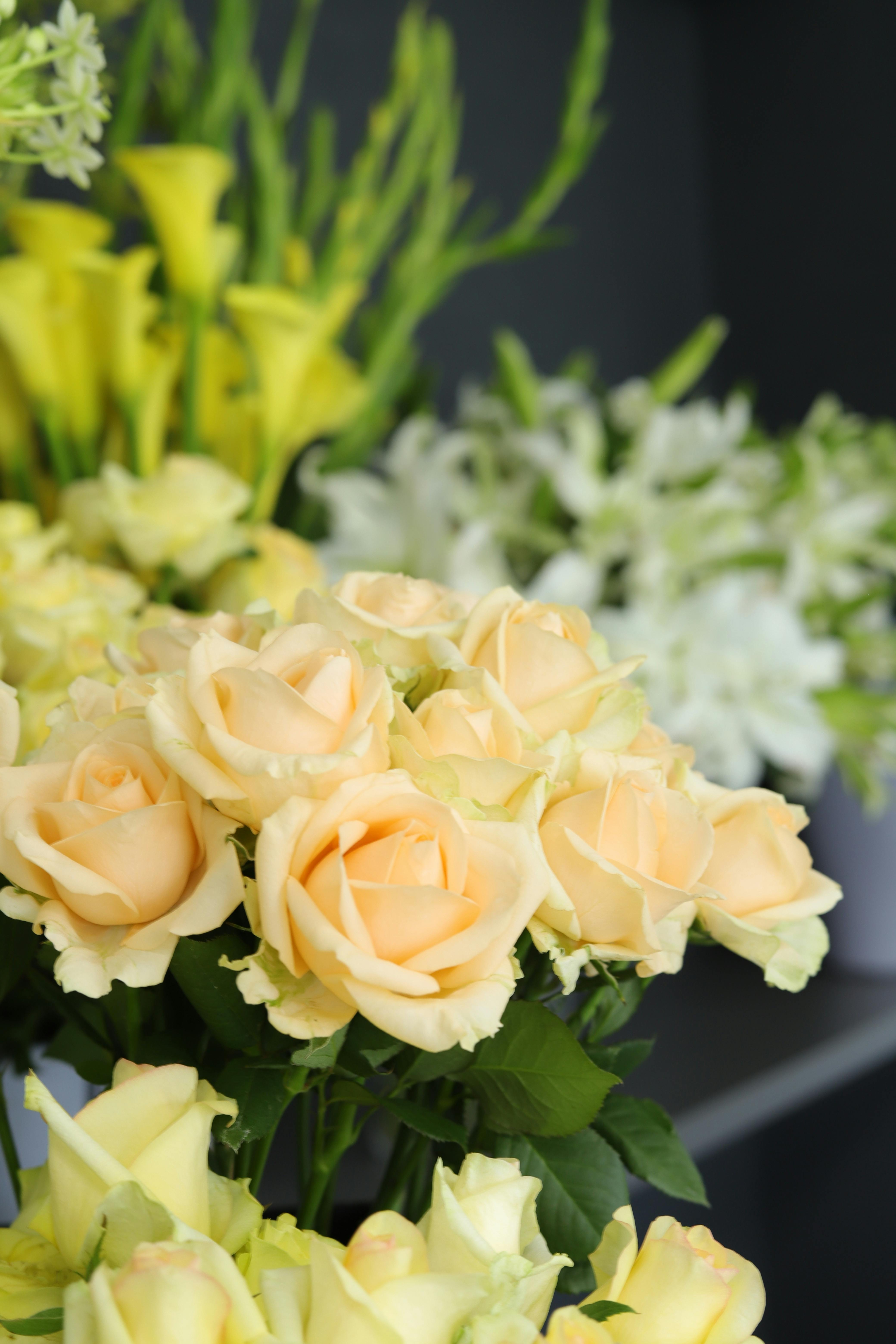 Bouquet of Yellow Roses · Free Stock Photo Bouquet of Yellow Roses · Free Stock Photo