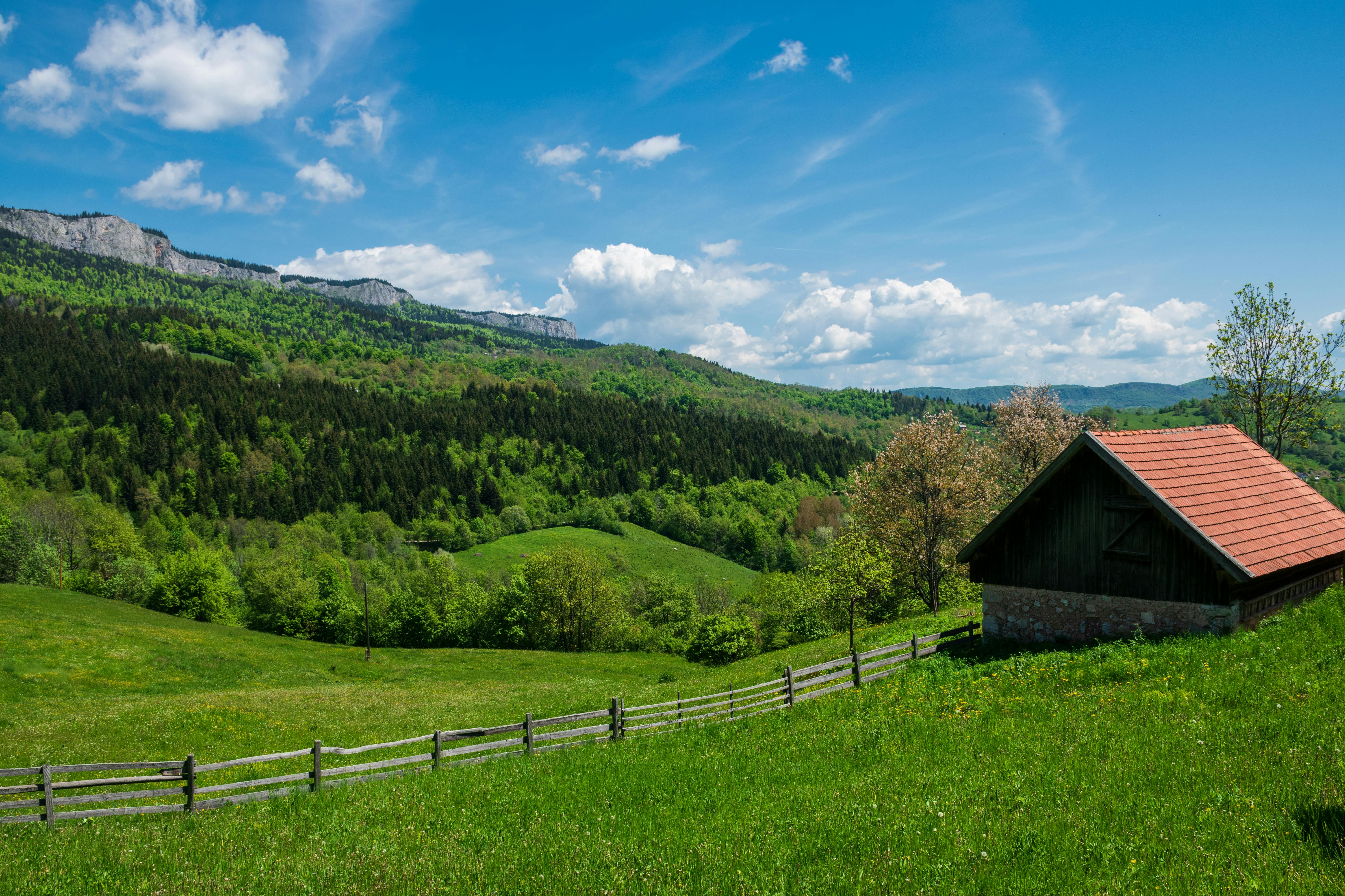 Green Countryside Landscape · Free Stock Photo