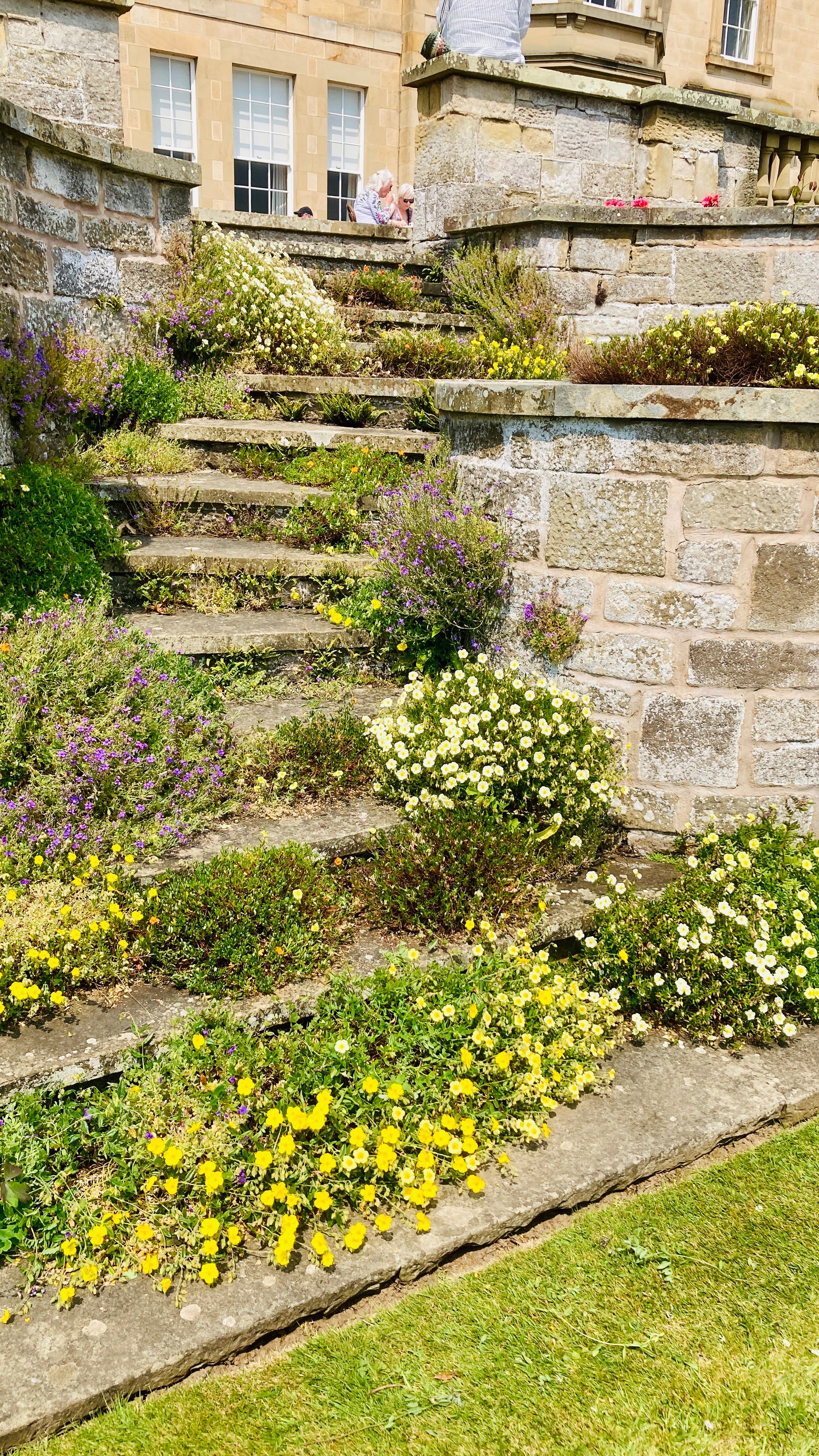 Green Plants and Flowers Growing on Stairs near Old Stone Castle · Free ...