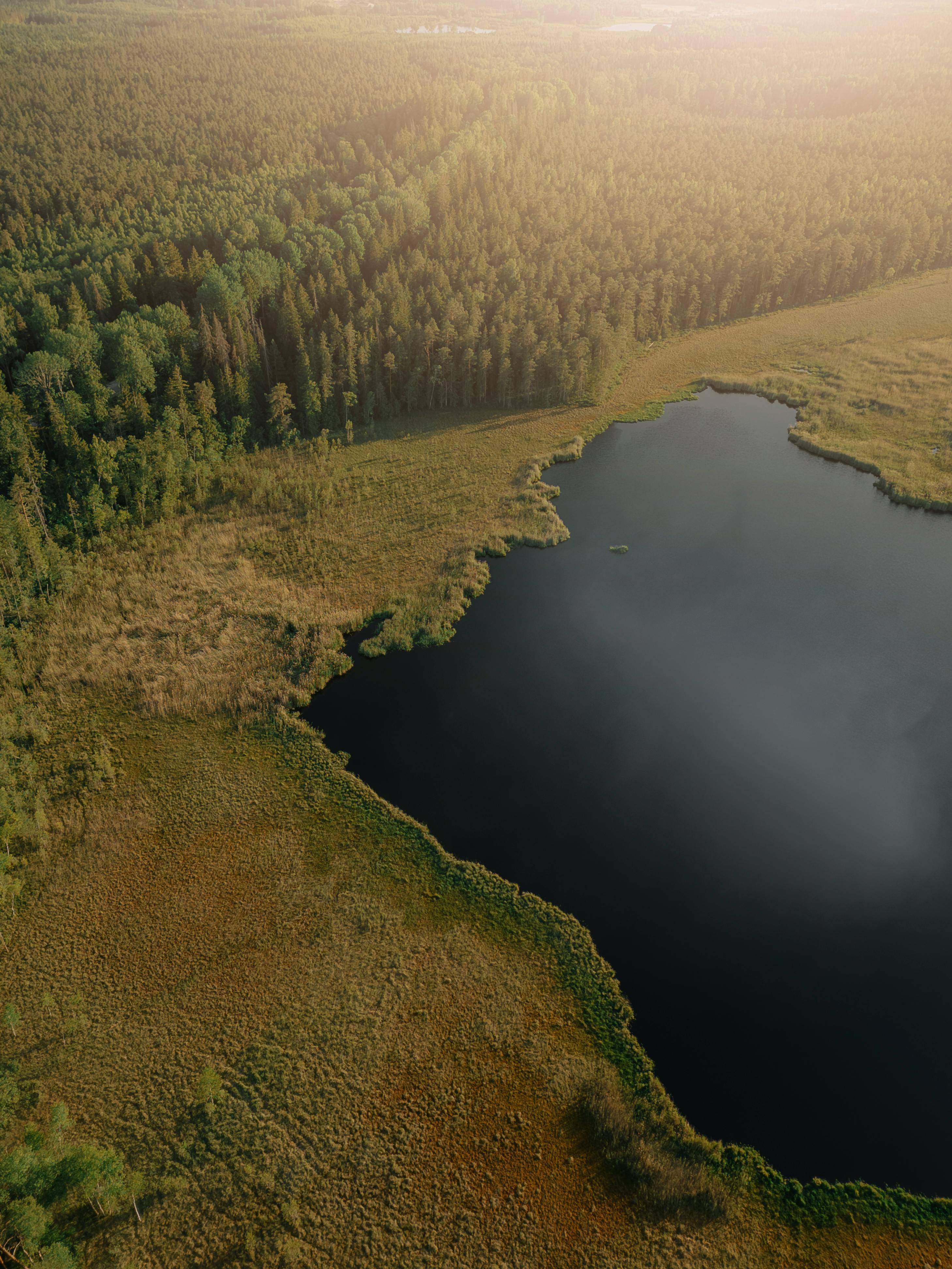 Nature Green Landscape Photos, Download The BEST Free Nature Green ...