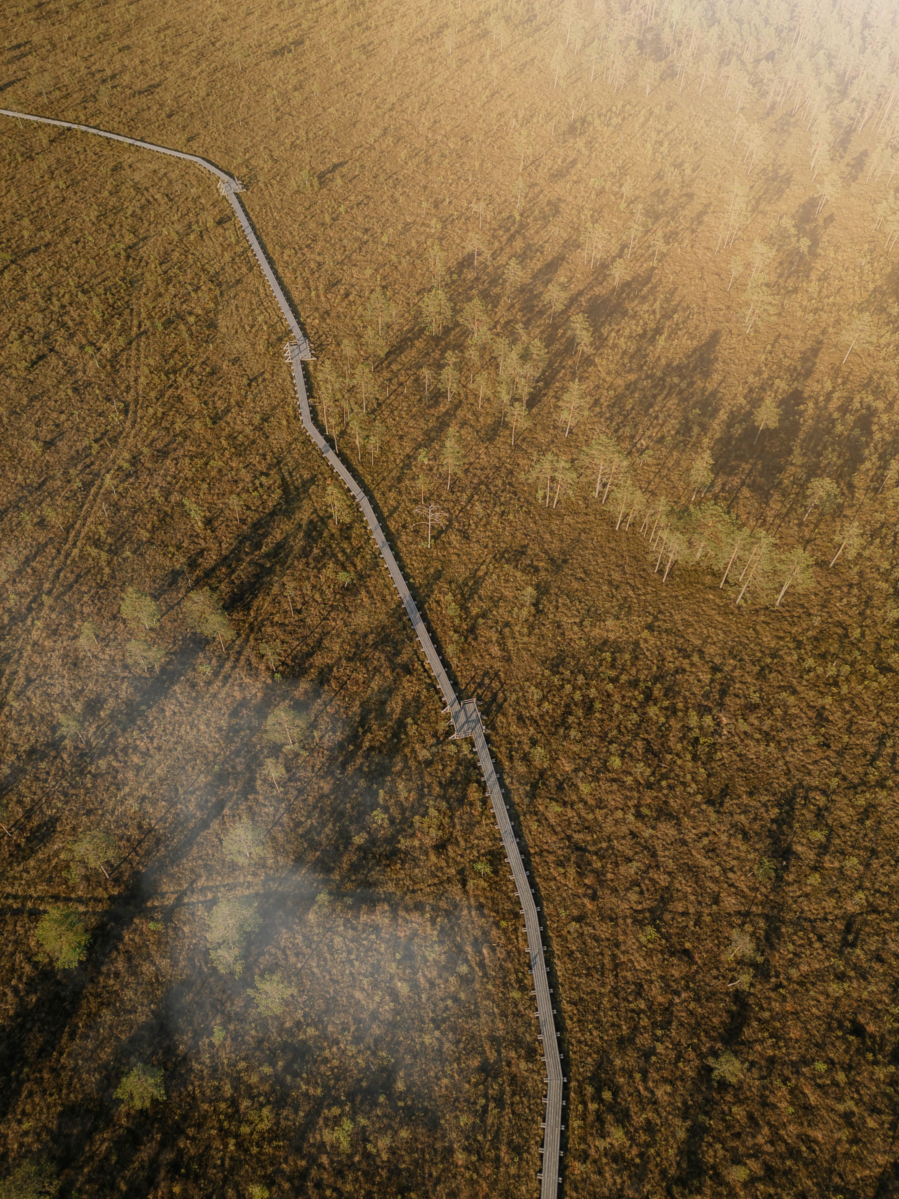 Birds Eye View of Green Plains · Free Stock Photo