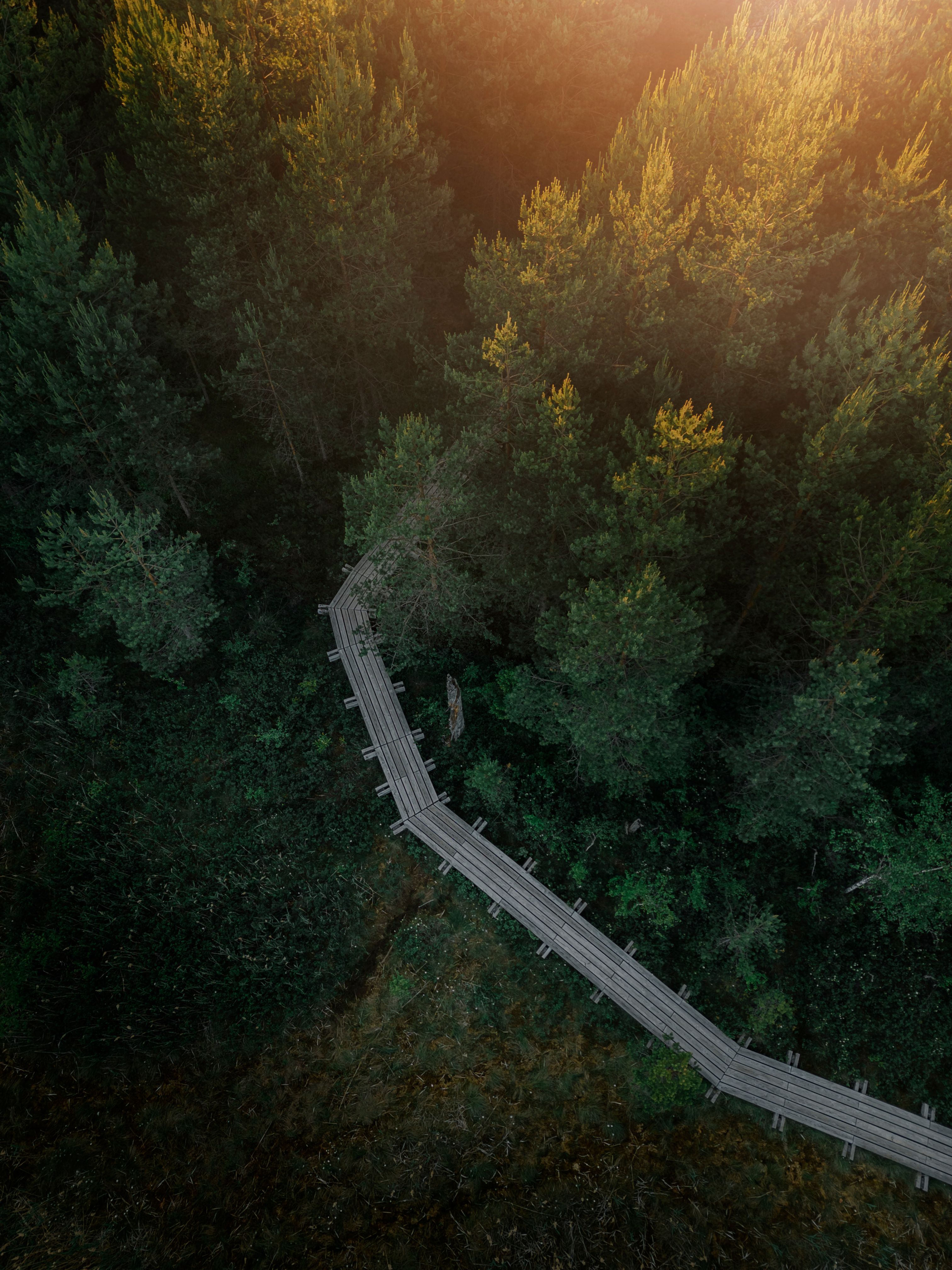 Wooden Fotobridge in Mountains · Free Stock Photo