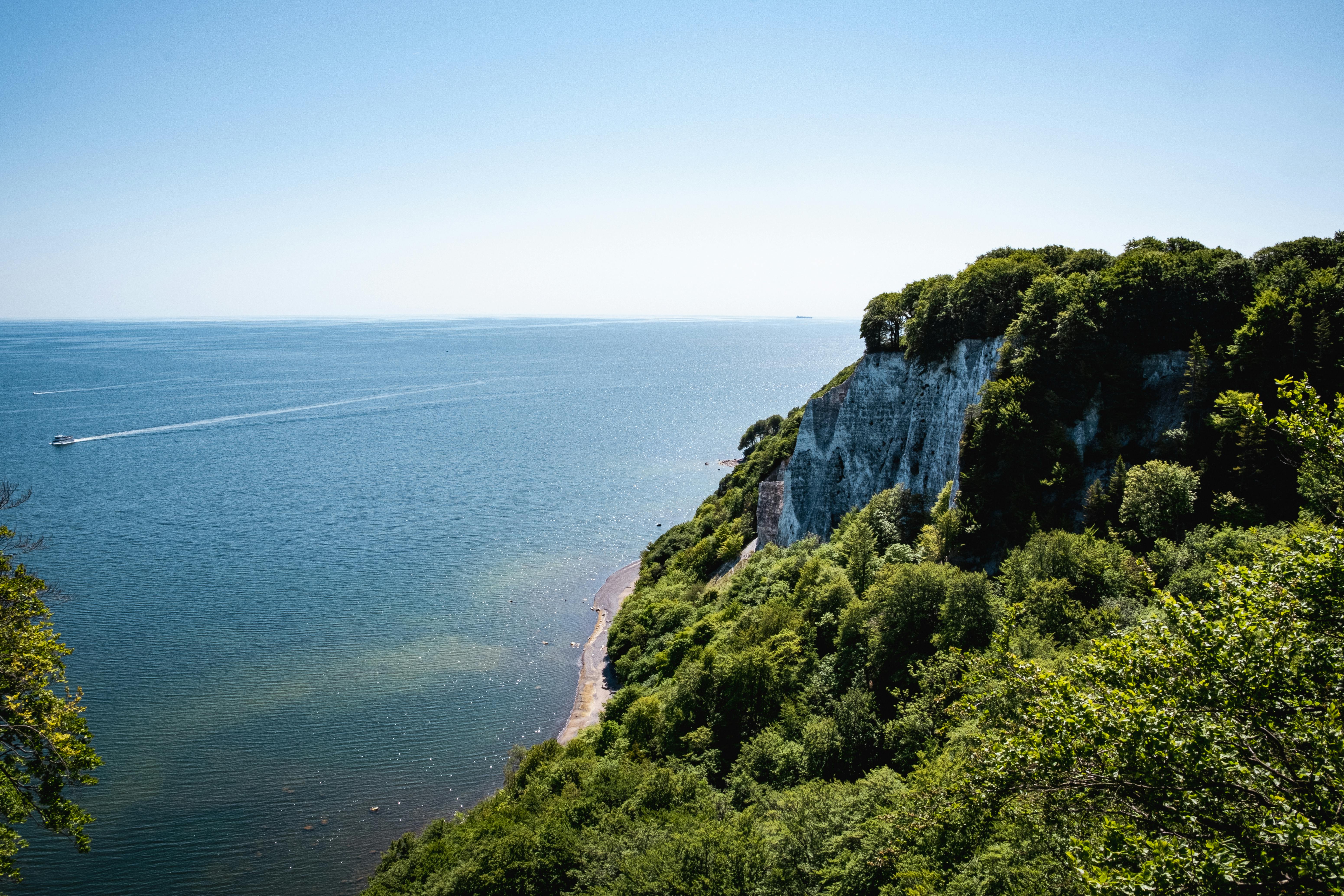 Forest and Cliff on Sea Shore · Free Stock Photo