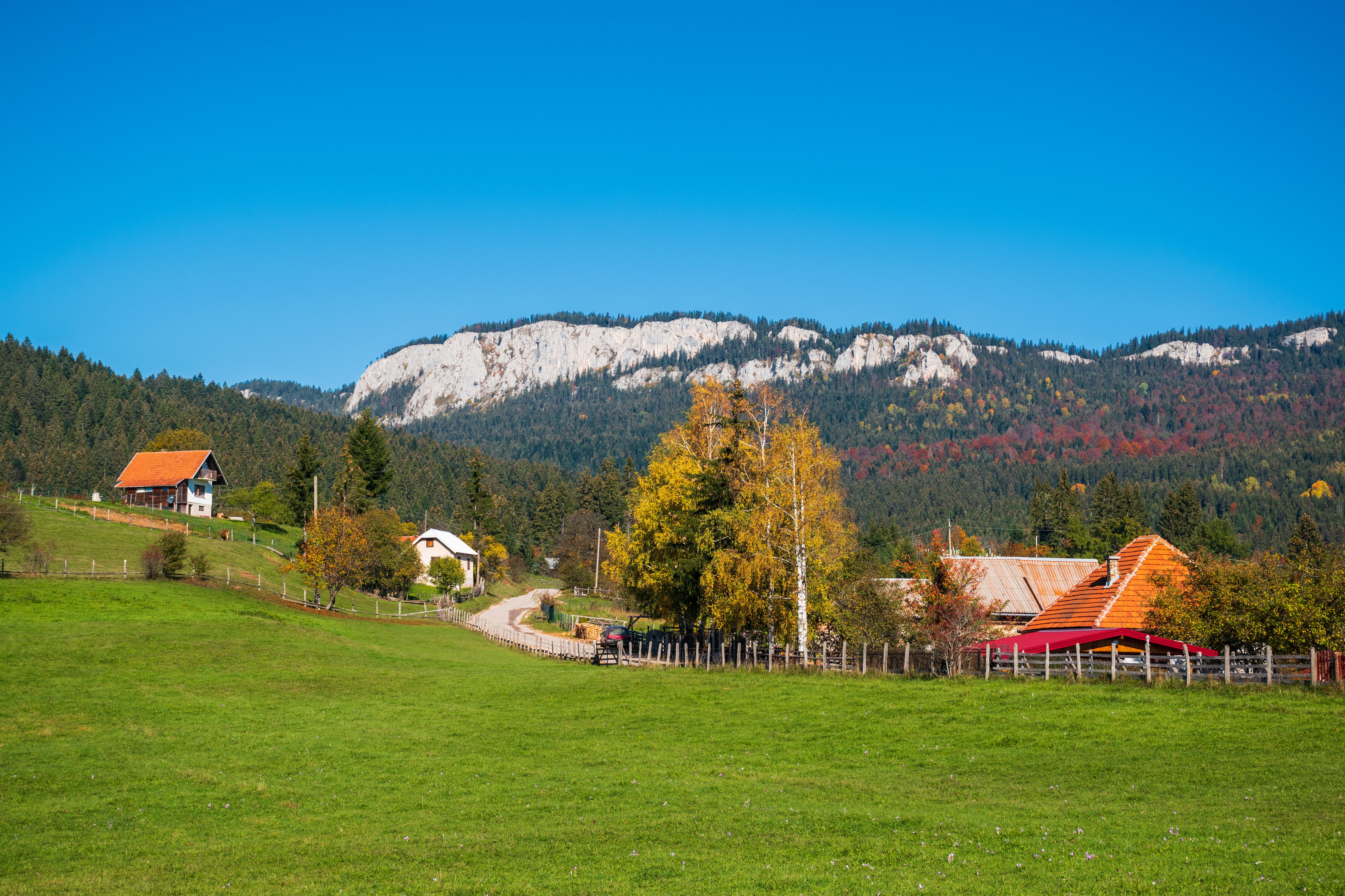 Landscape of Green Countryside · Free Stock Photo