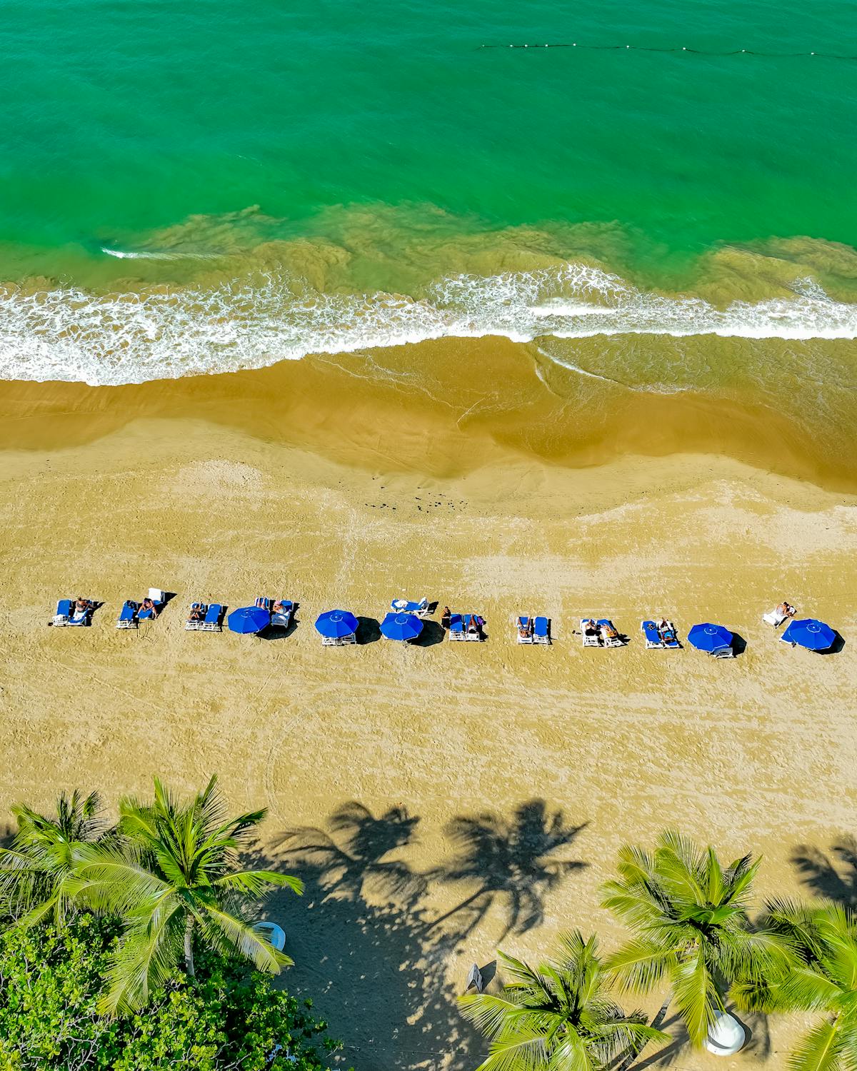 Bird's Eye View Photos, Download The BEST Free Bird's Eye View Stock ...