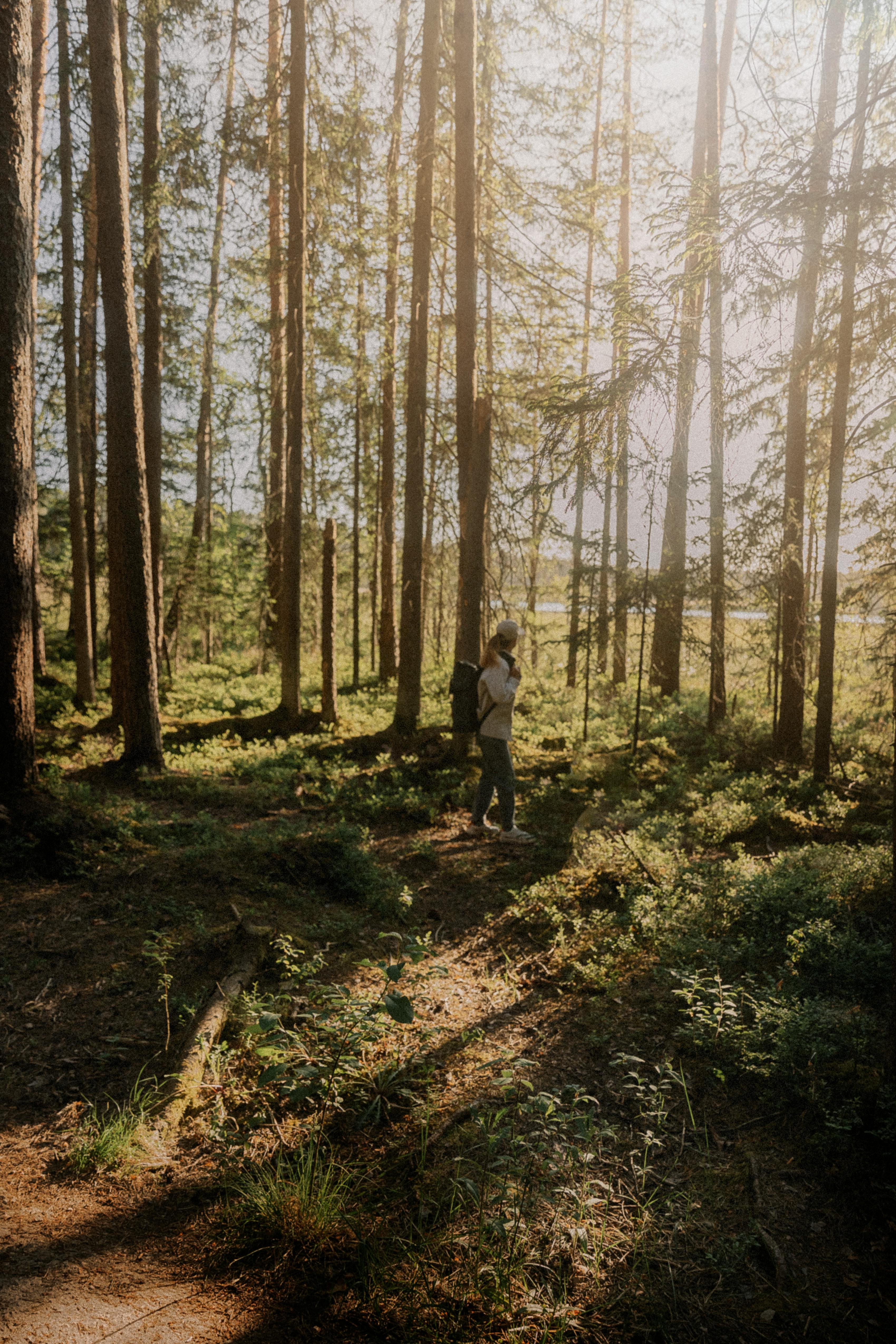 Woman Walking in Forest · Free Stock Photo