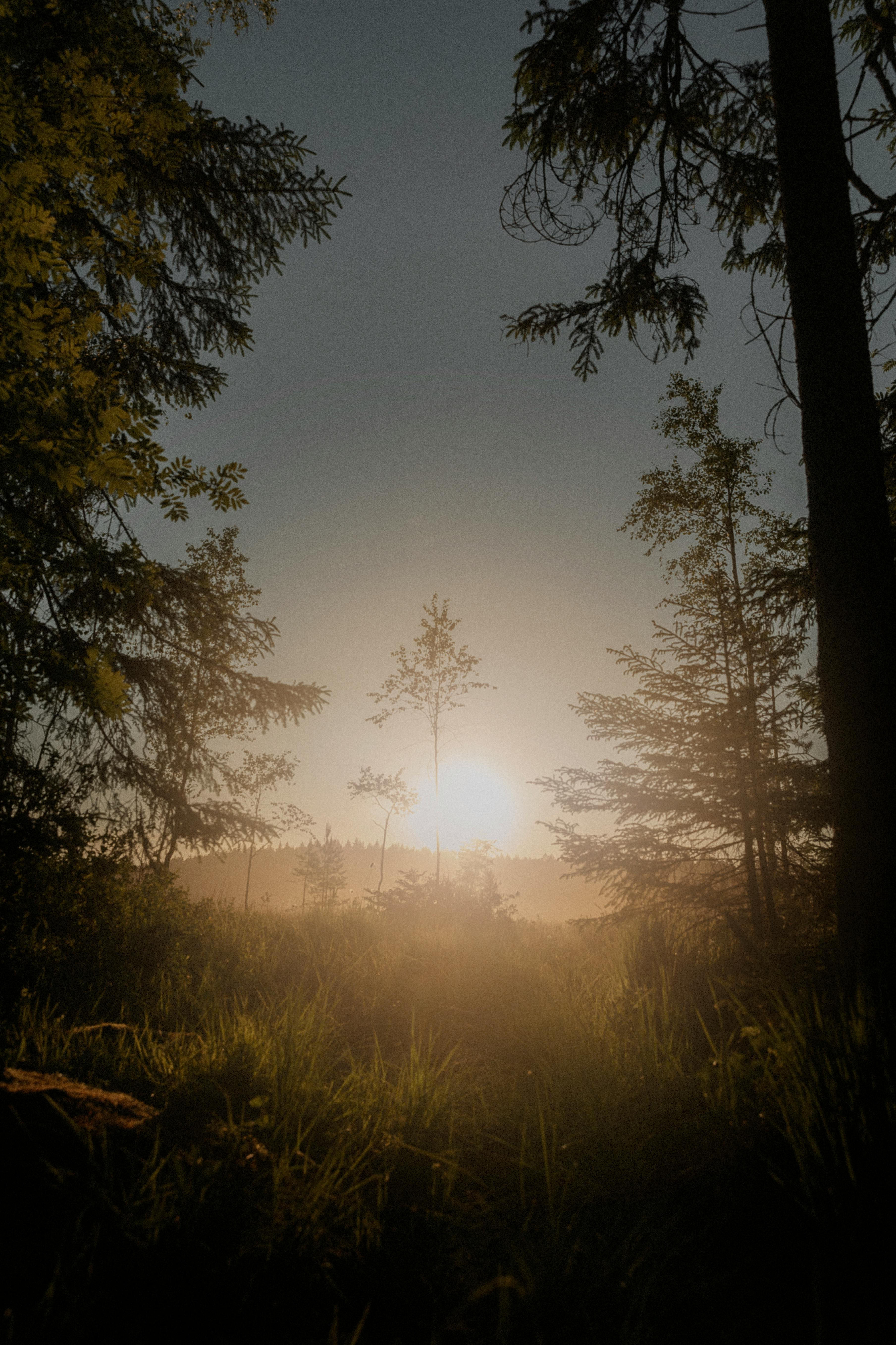 Dark Sun Set Photos, Download The BEST Free Dark Sun Set Stock Photos ...