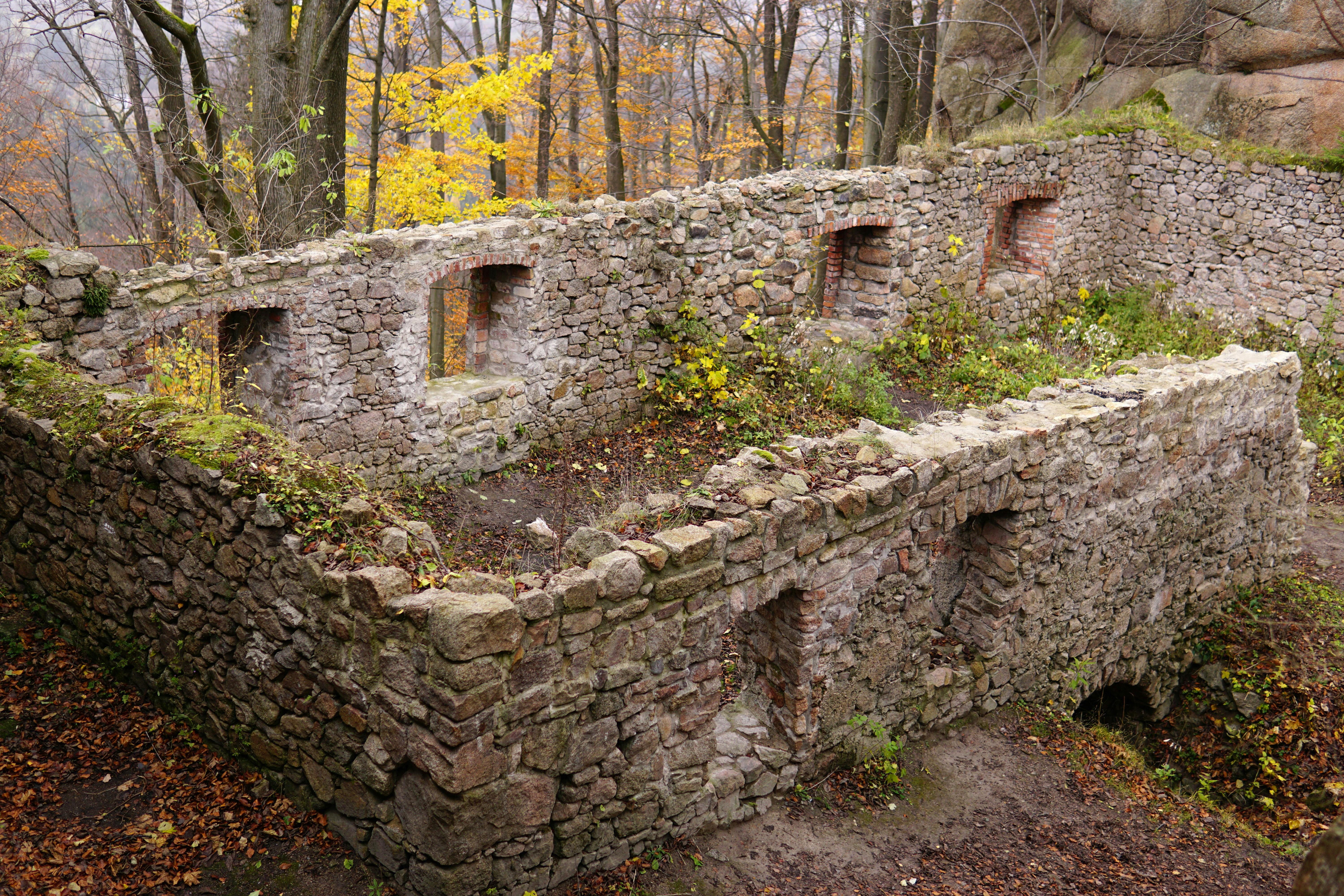 Old Stone Building Ruins in Forest · Free Stock Photo