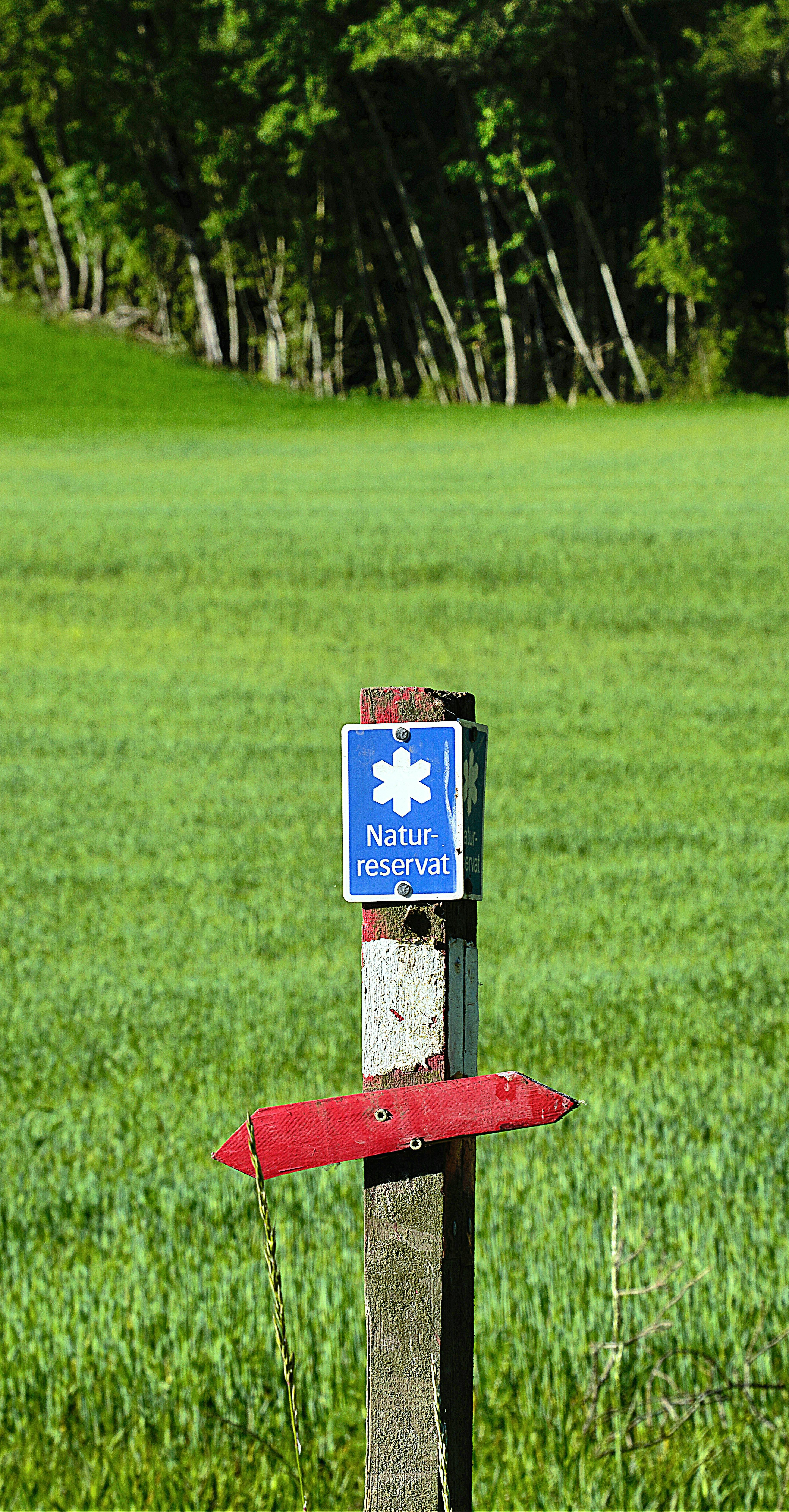 A Sign on a Field Informing of a Nature Reserve · Free Stock Photo