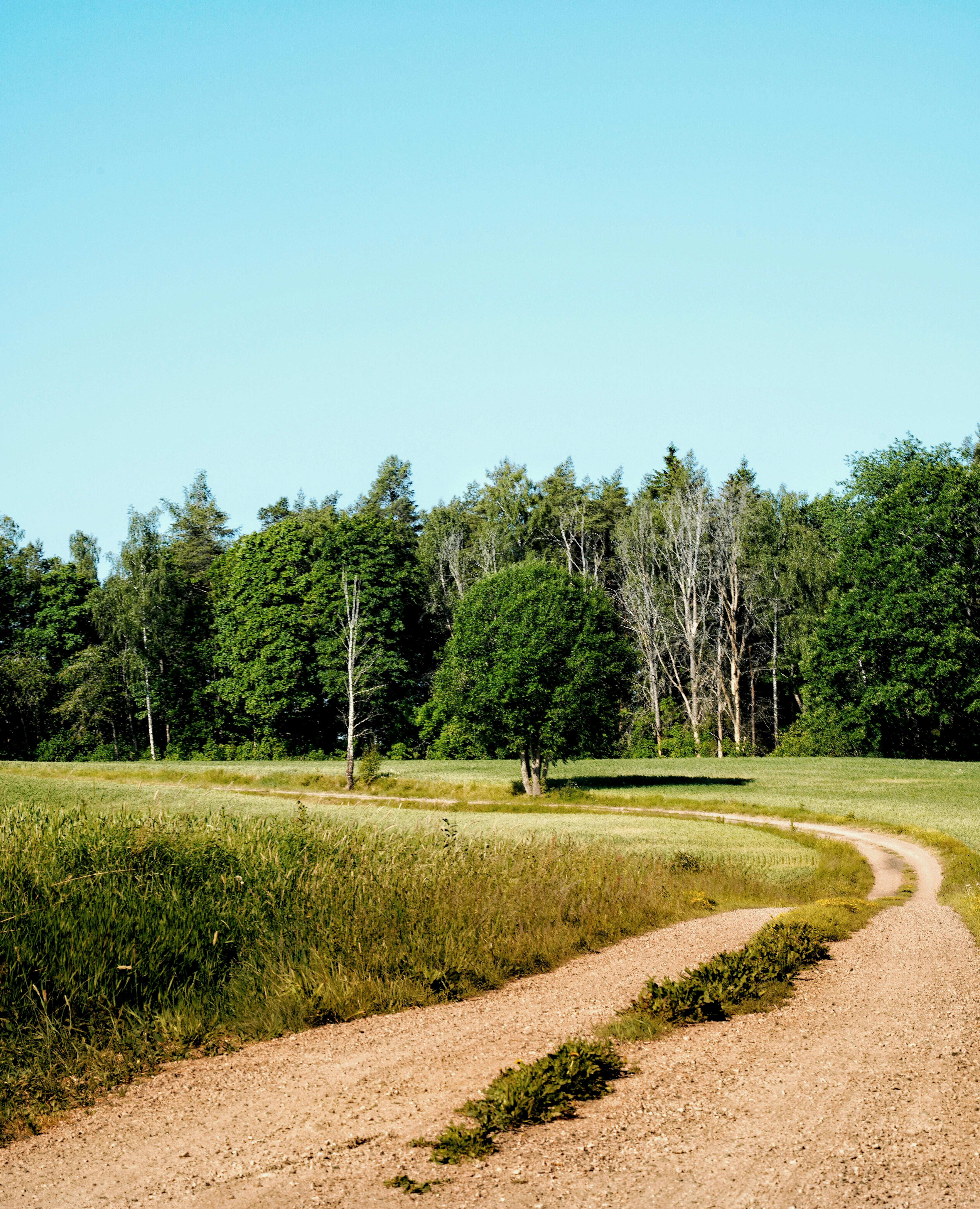An Asphalt Road through the Countryside · Free Stock Photo