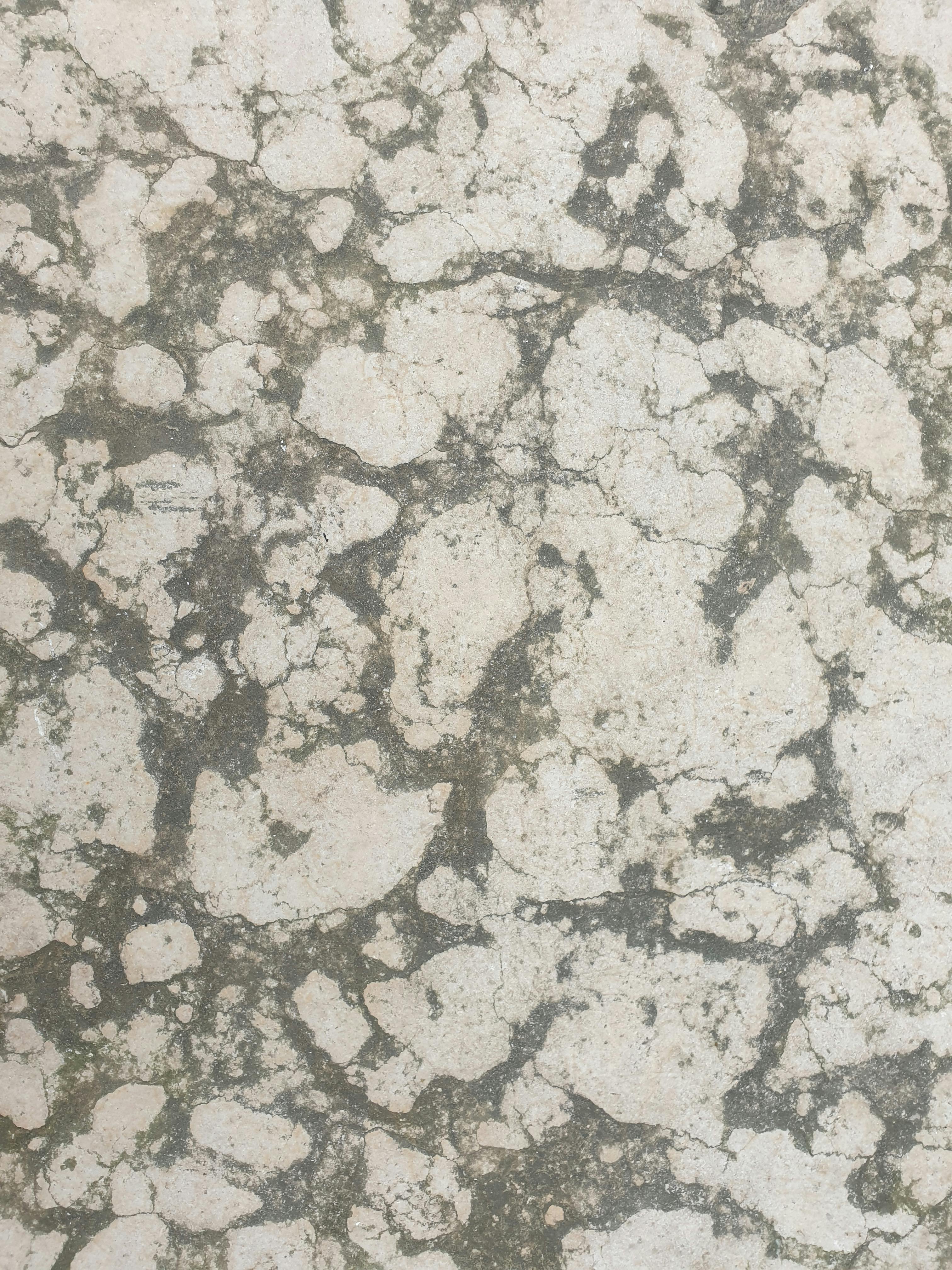 Gray and White Stone Surface · Free Stock Photo