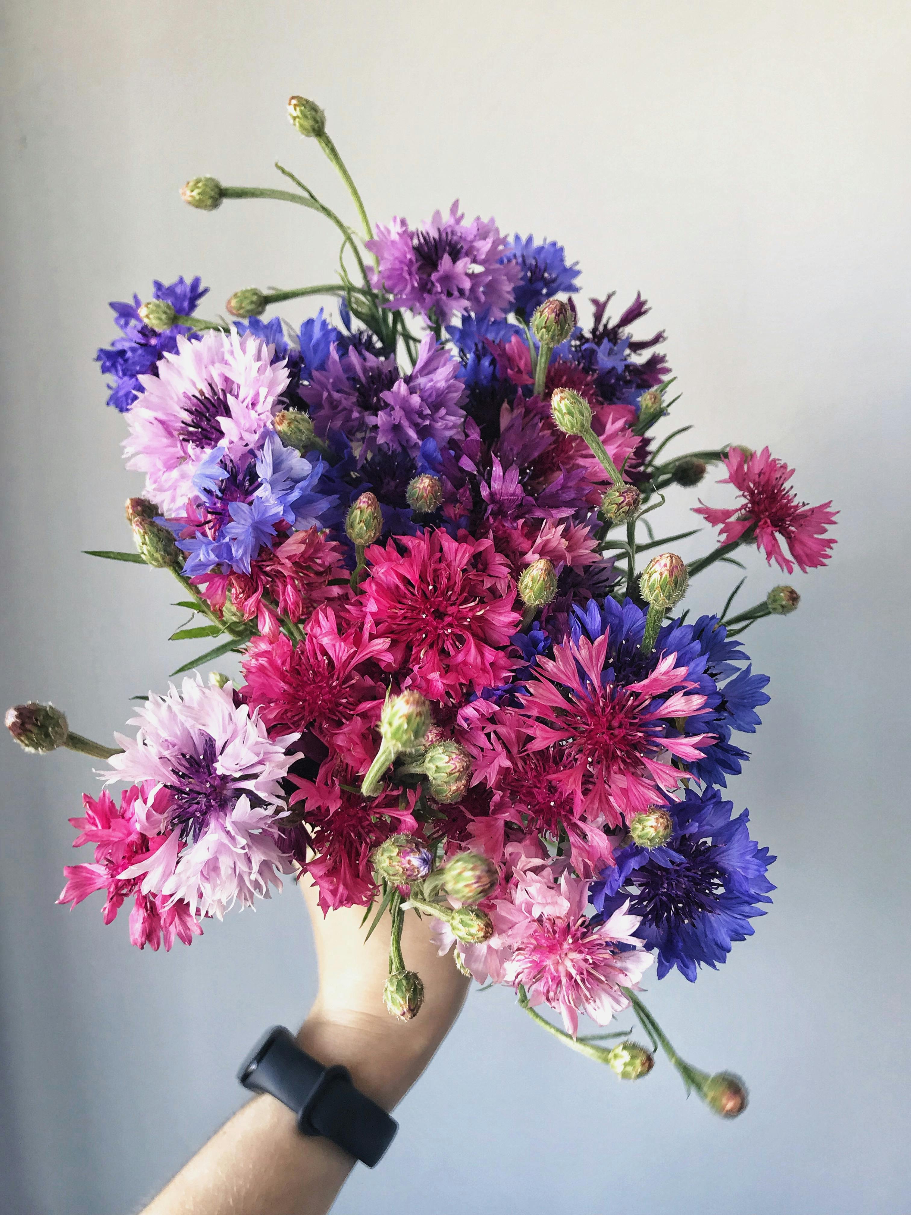 adri ana - Photography