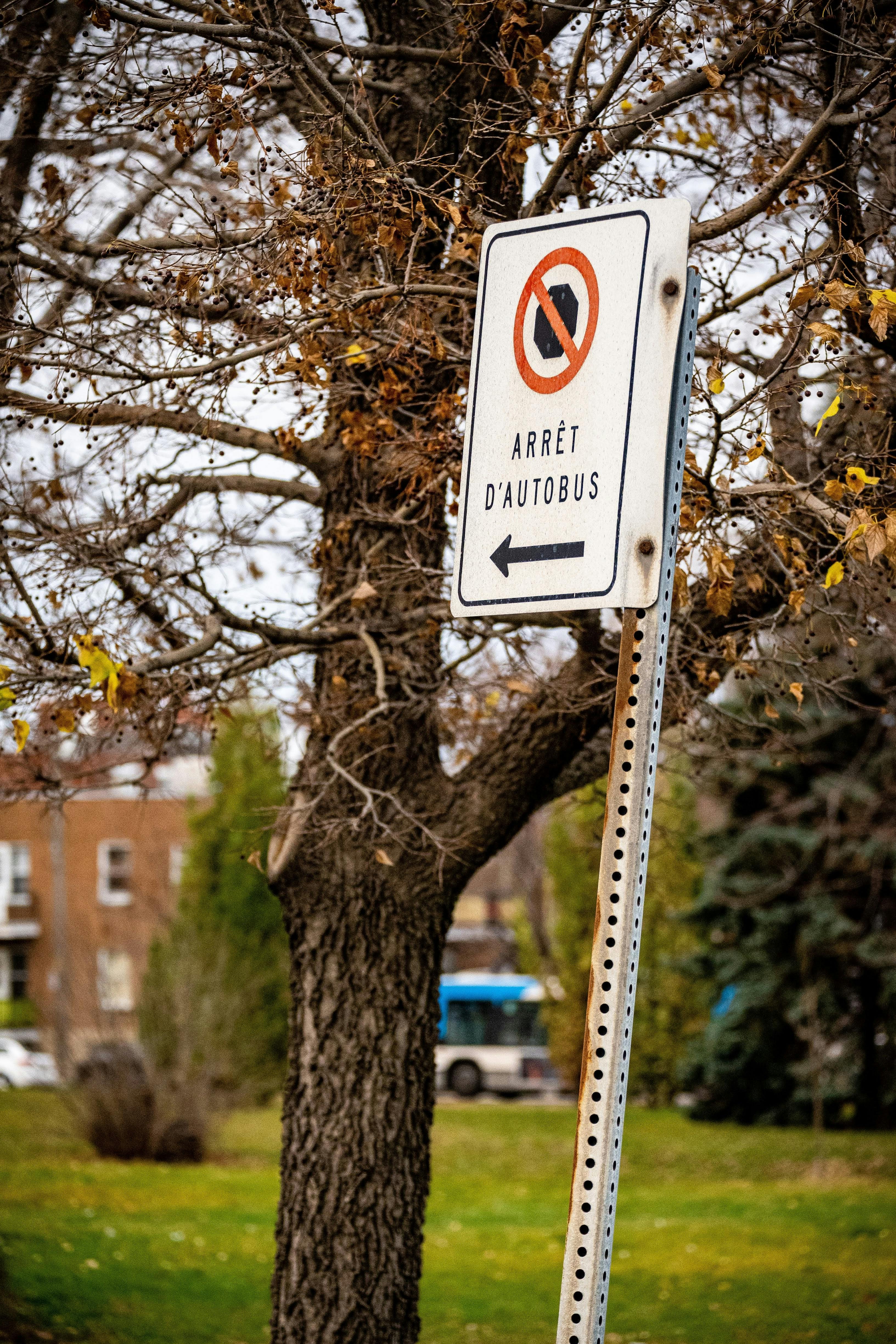 Sign in Suburb · Free Stock Photo