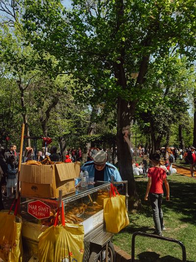 People Picnic Photos, Download The BEST Free People Picnic Stock Photos ...