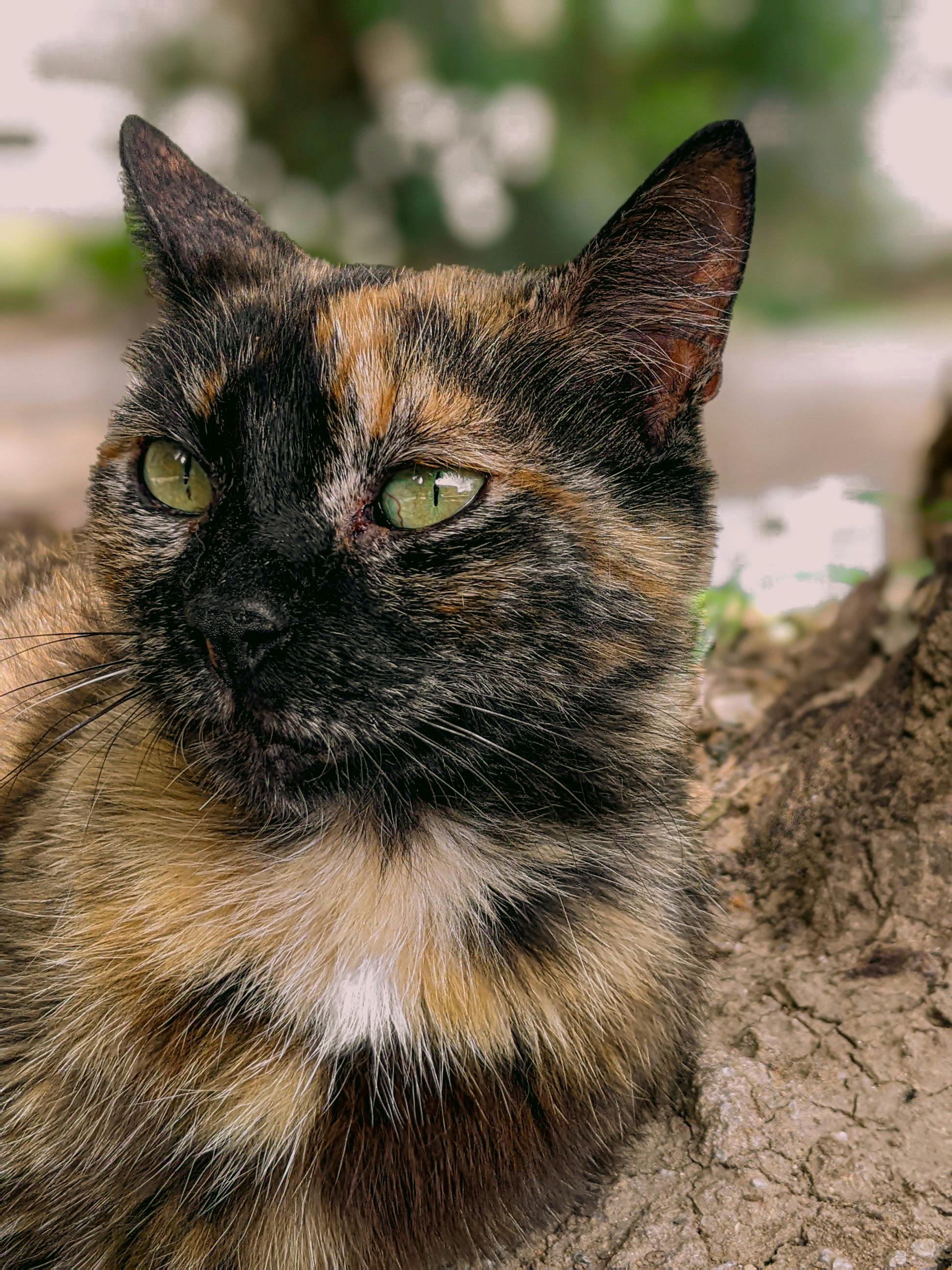 Latter Had Photos, Download The BEST Free Latter Had Stock Photos & HD ...