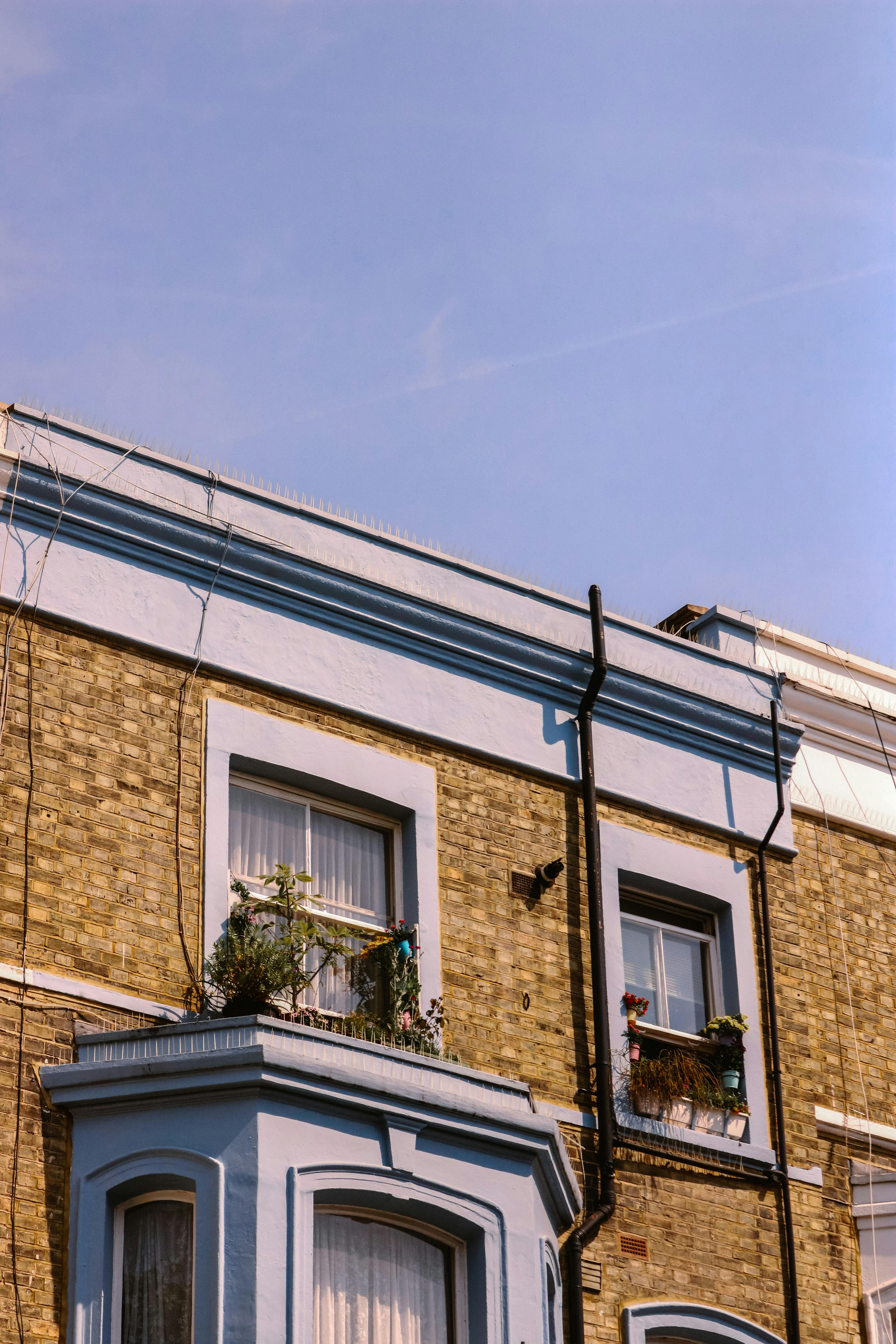 Sunlit House in Town · Free Stock Photo