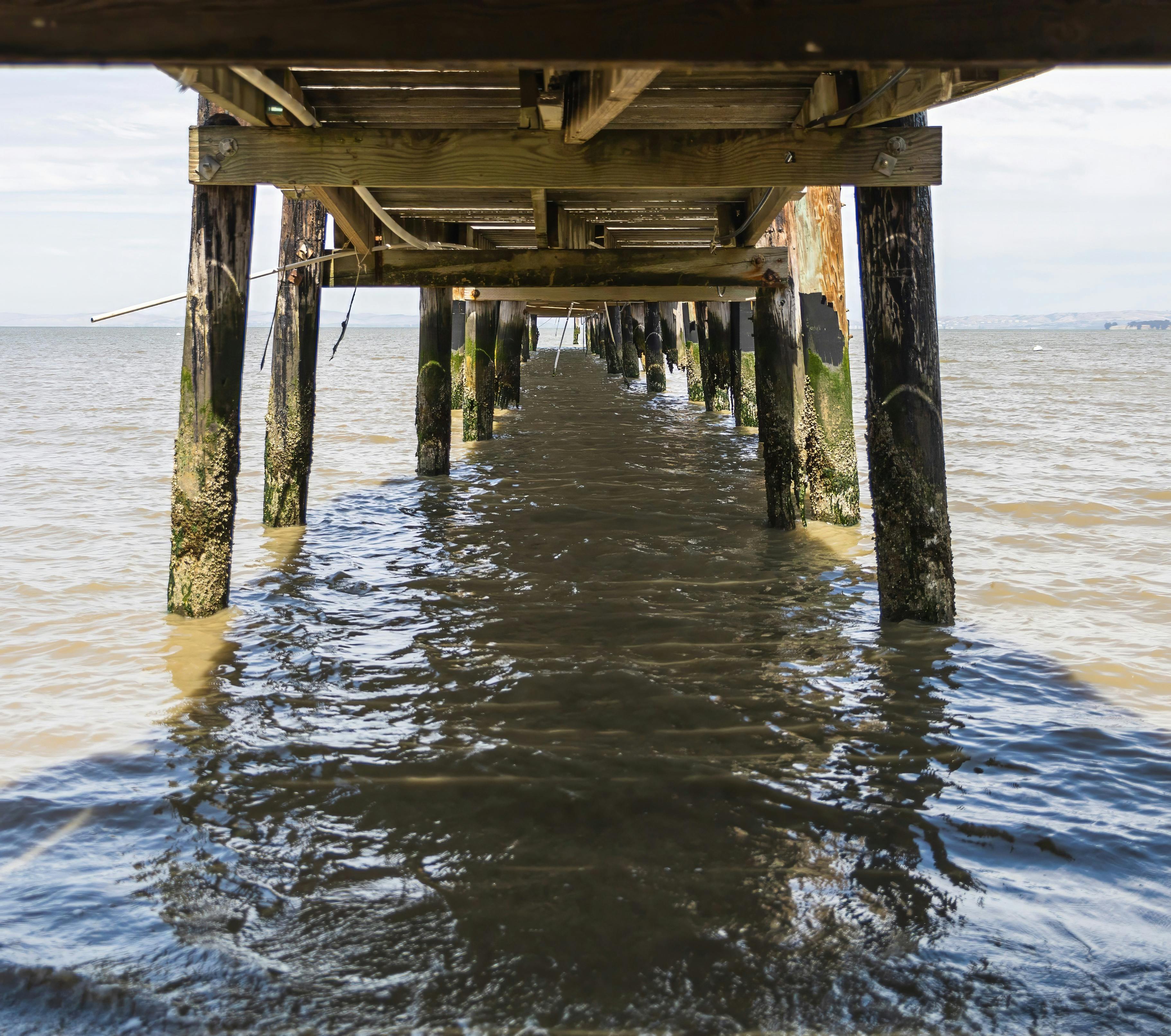 Below View of Pier · Free Stock Photo