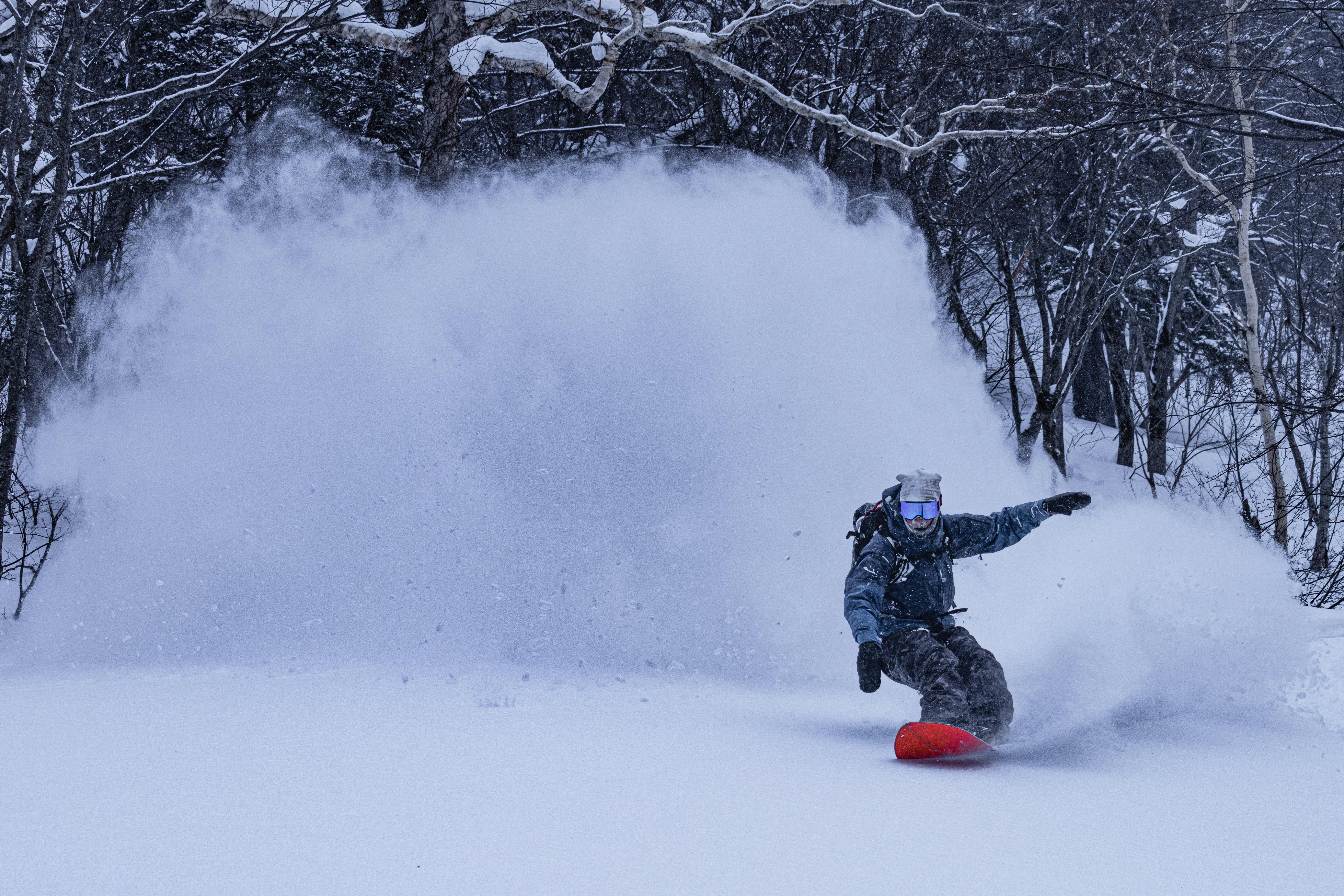 Person Snowboarding among Trees · Free Stock Photo