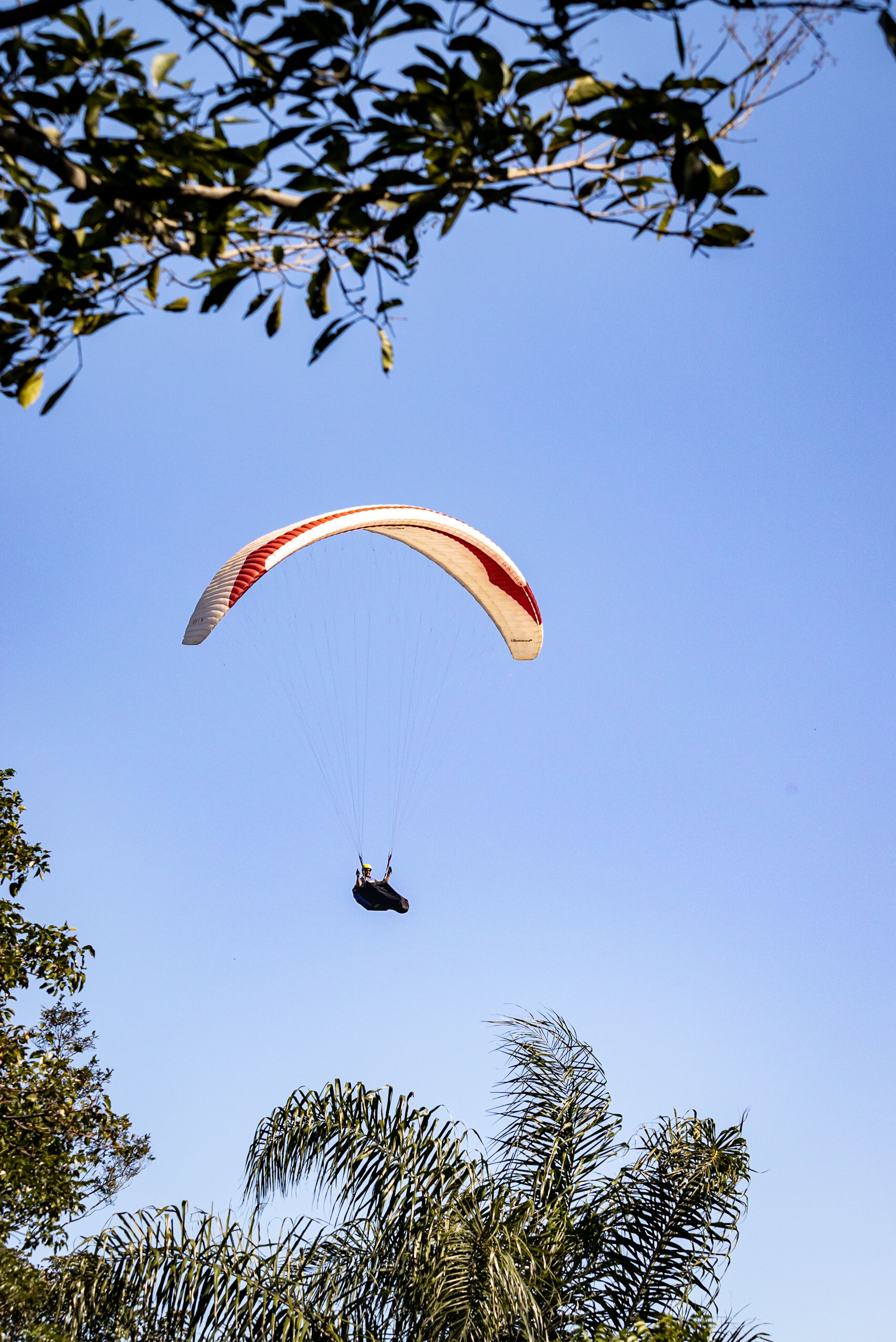 Person Flying on Parachute in Blue Sky · Free Stock Photo