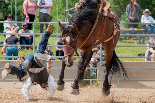Are Rodeos Cruel to Animals: A Call for Compassionate Change