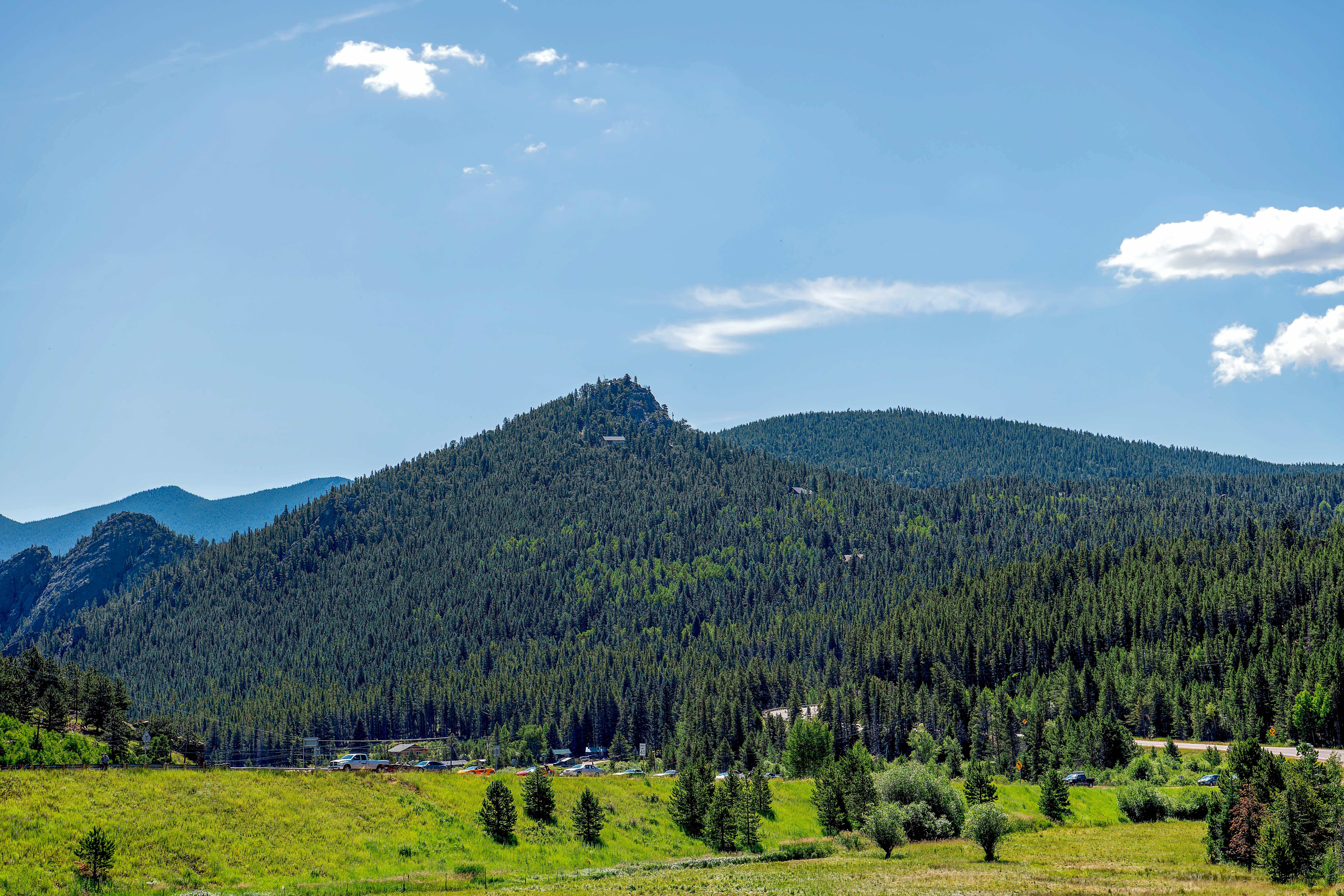 Landscape with a Green Field and Conifer Forests on Hills · Free Stock ...