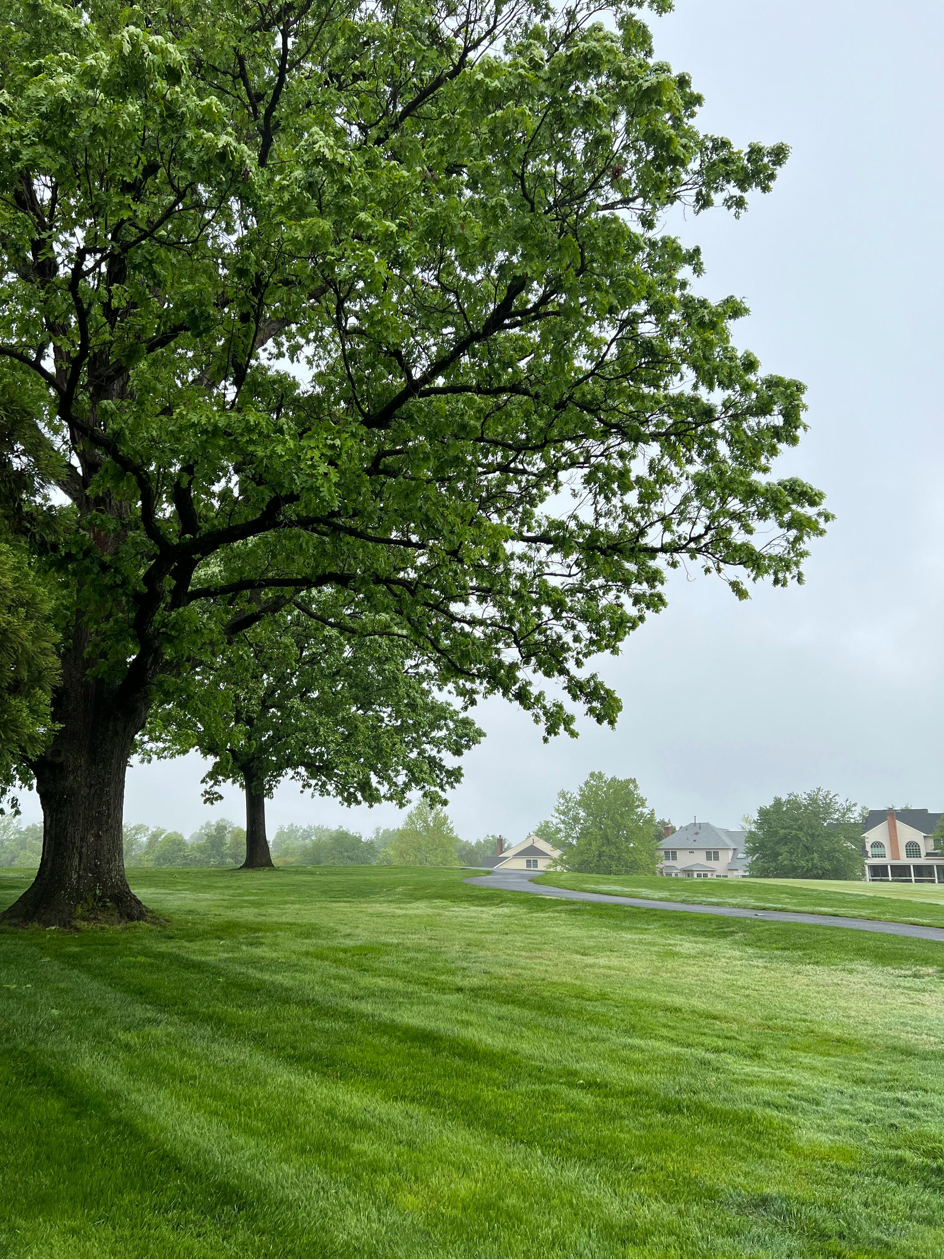 Rural Fresh Cut Lawn · Free Stock Photo