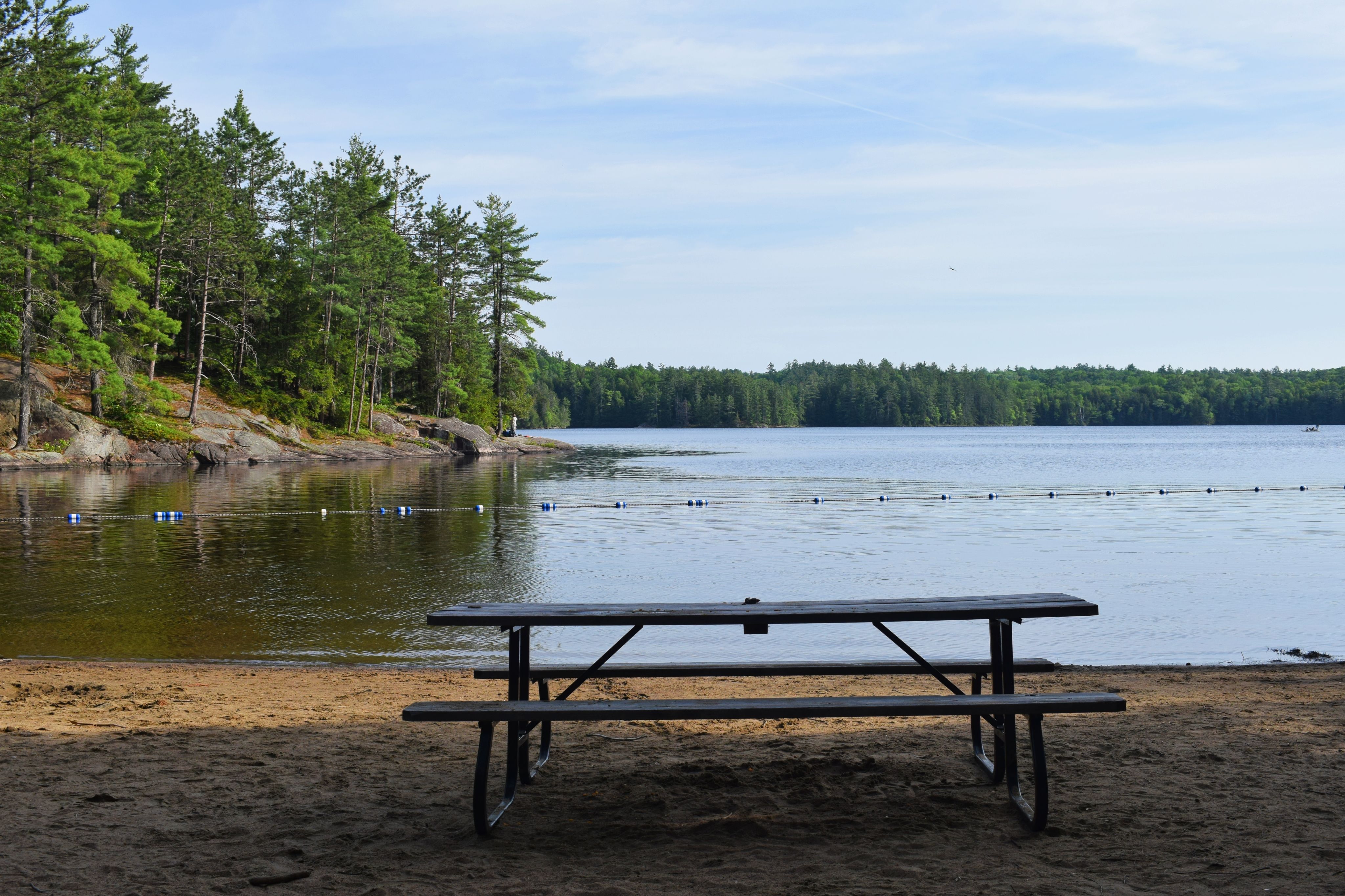 Picnic Table on Beach by Lake · Free Stock Photo