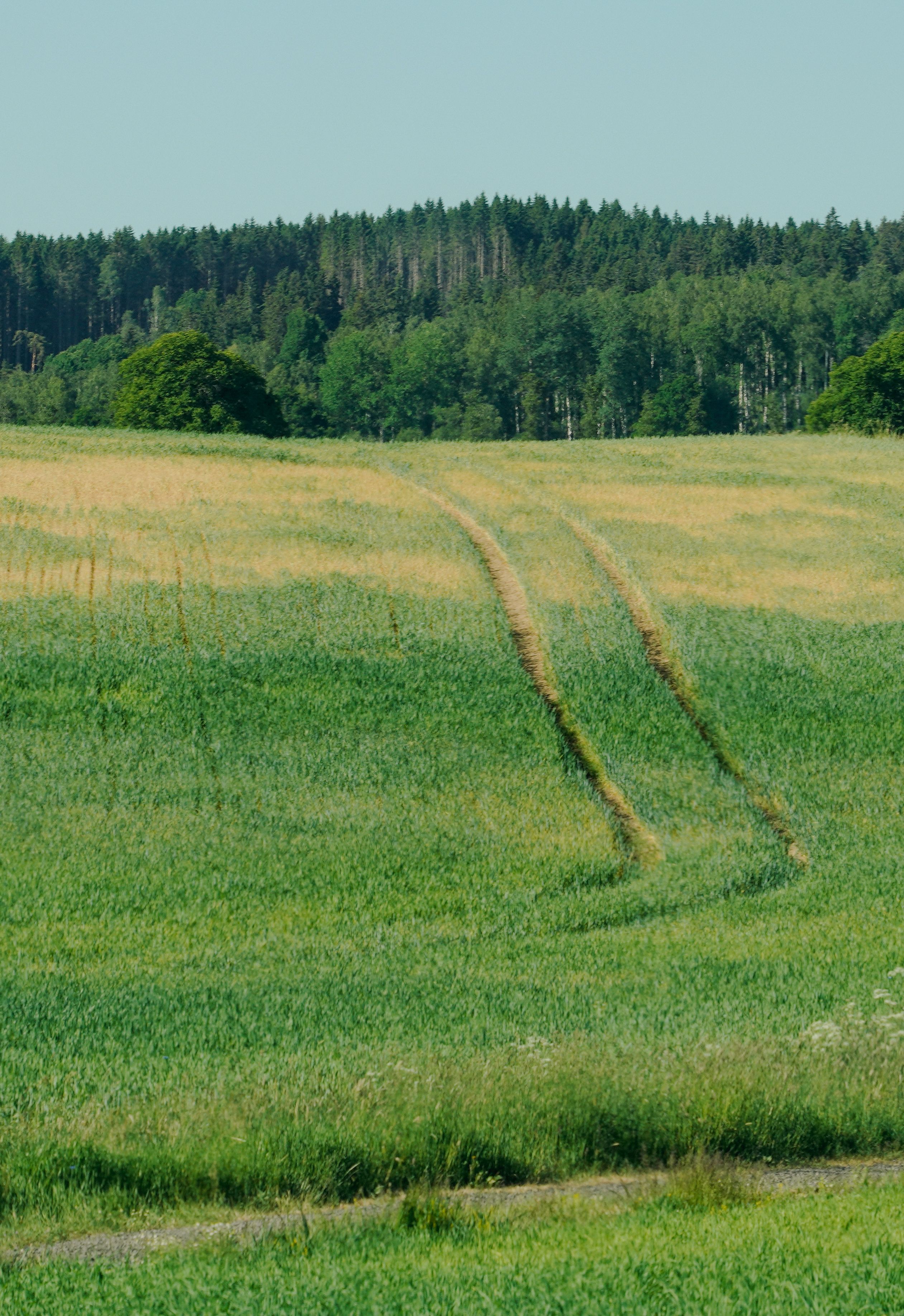 View of a Field · Free Stock Photo