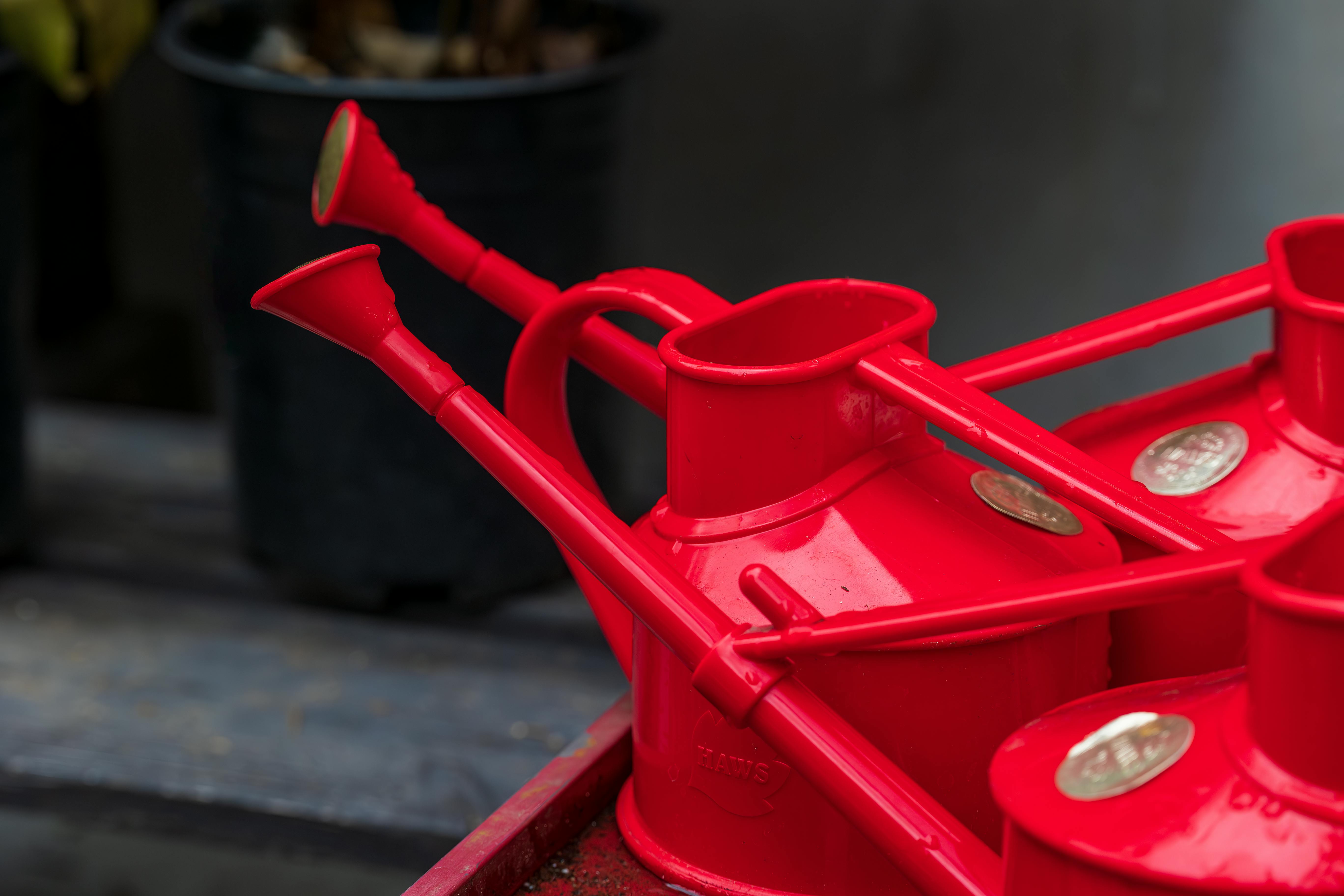 Watering Cans Photos, Download The BEST Free Watering Cans Stock Photos ...