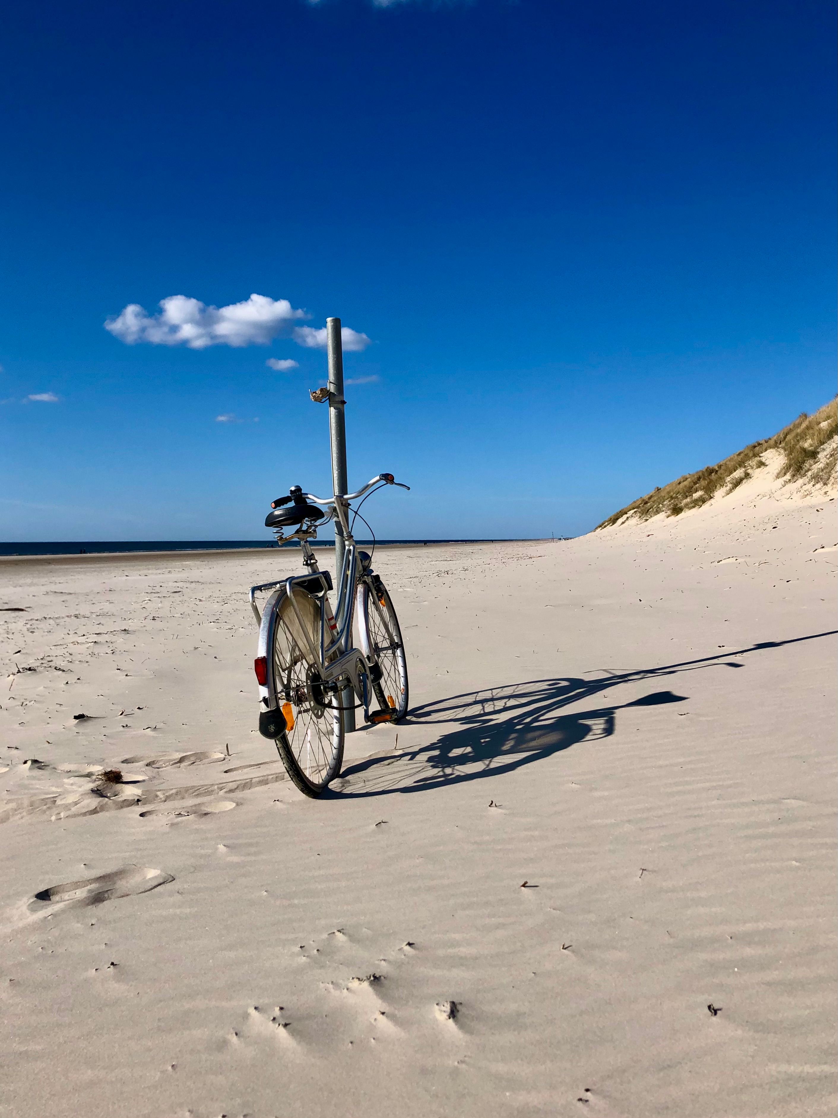 Bicycle Standing on the Beach · Free Stock Photo