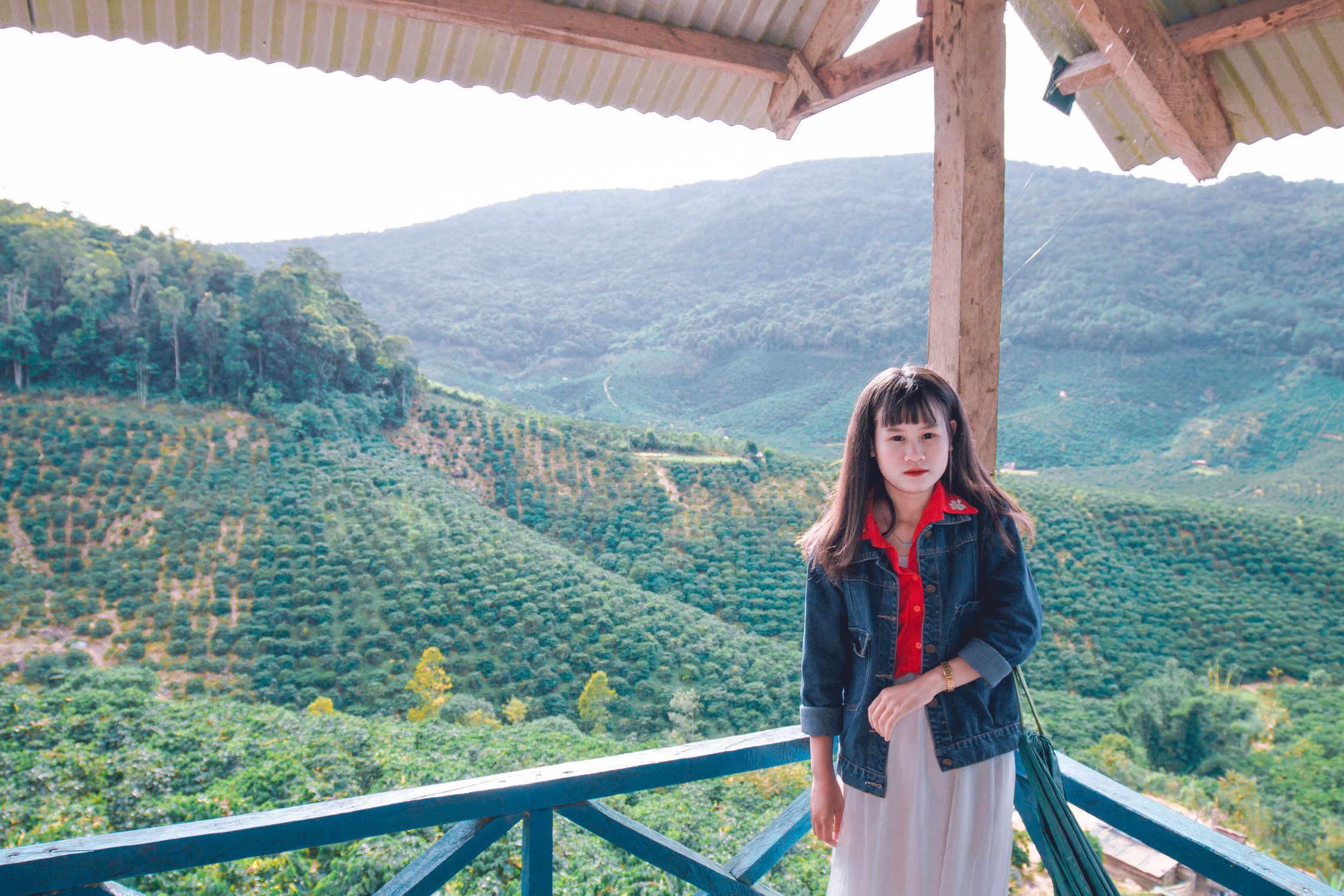 Free Stock Photo From thiszun Pexels Free Stock Photo From thiszun Pexels