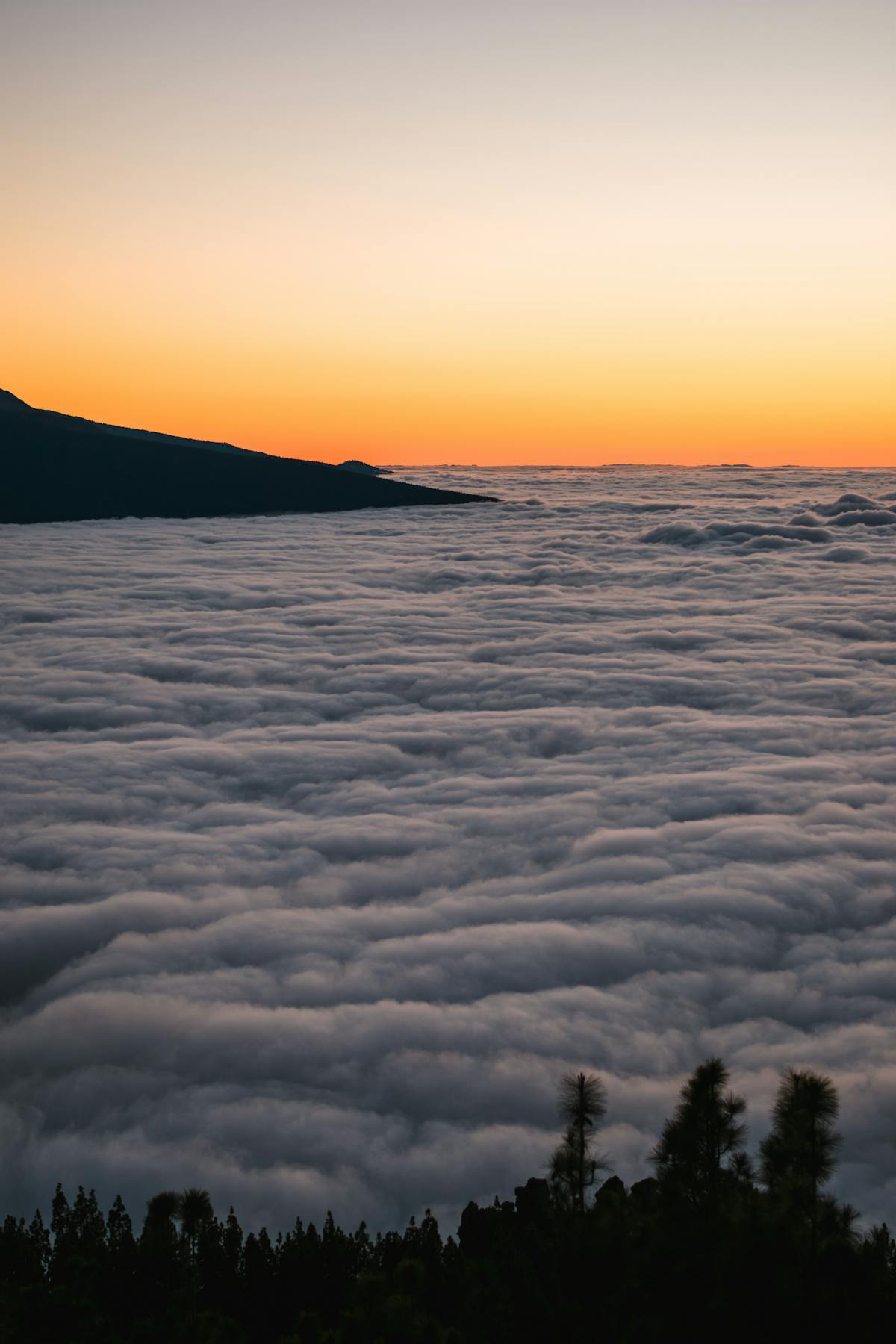 Cloud Cloud Cloud Cloud Cloud Photos, Download The BEST Free Cloud ...