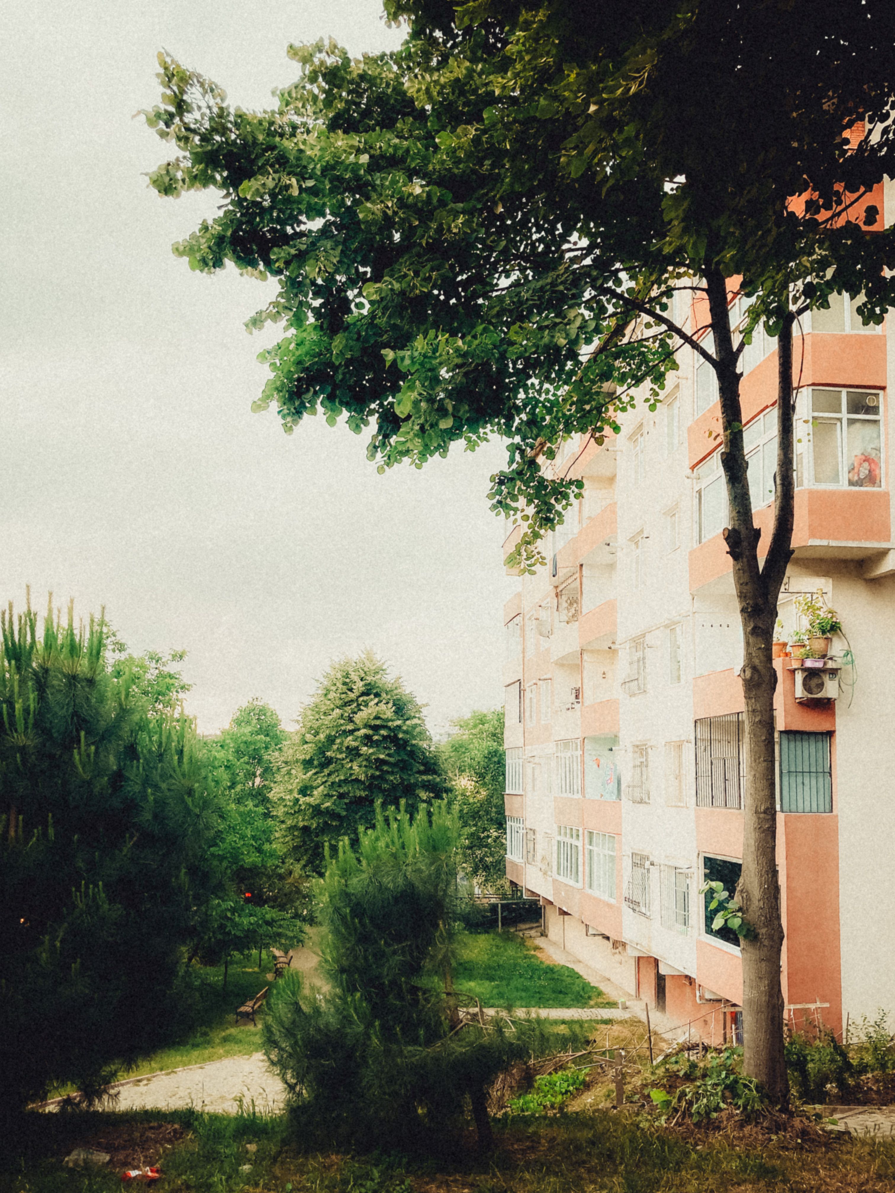 Trees and Shrubs in front of an Apartment Block in City · Free Stock Photo