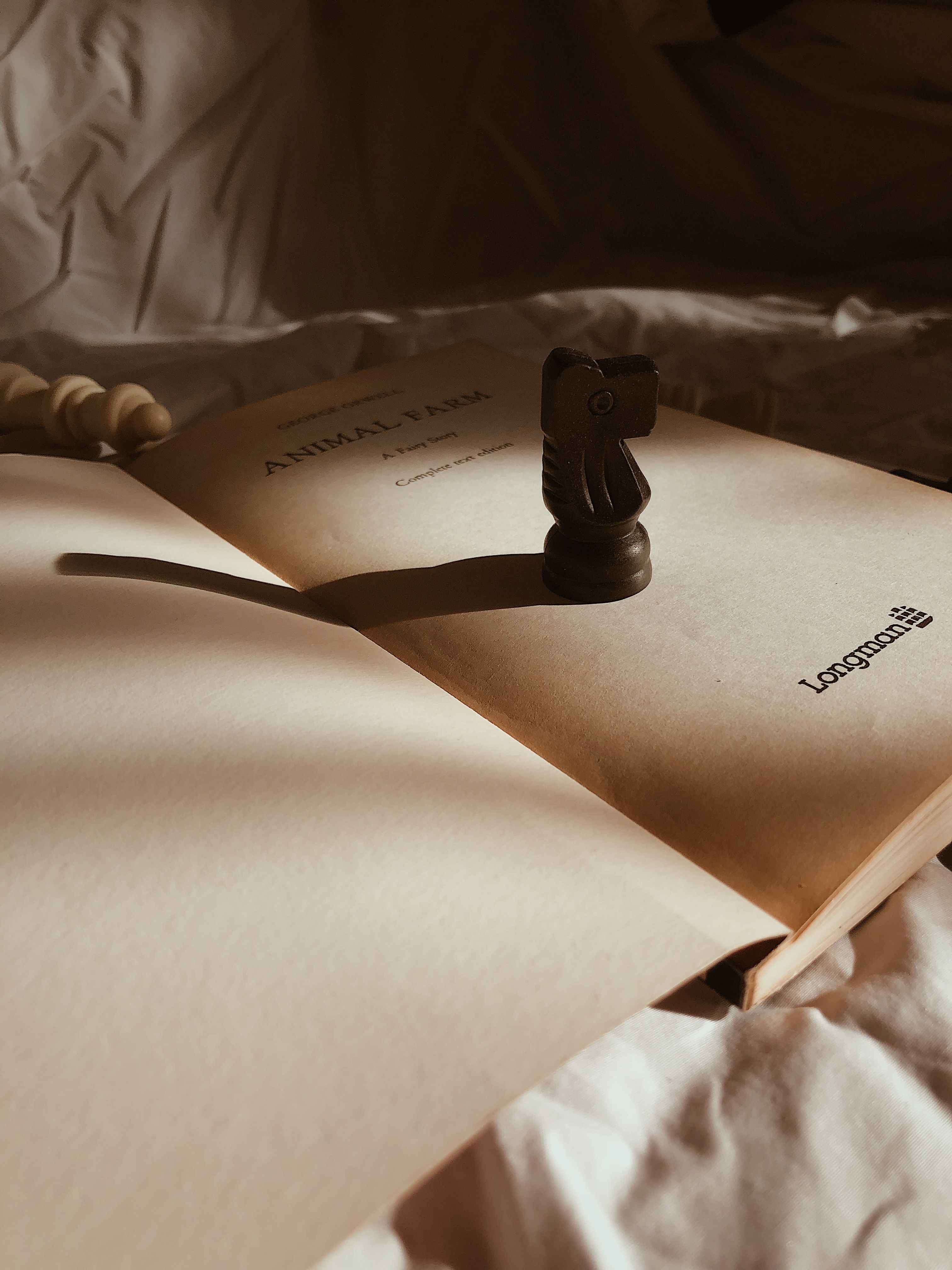 Knight Chess Piece on Animal Farm Book · Free Stock Photo