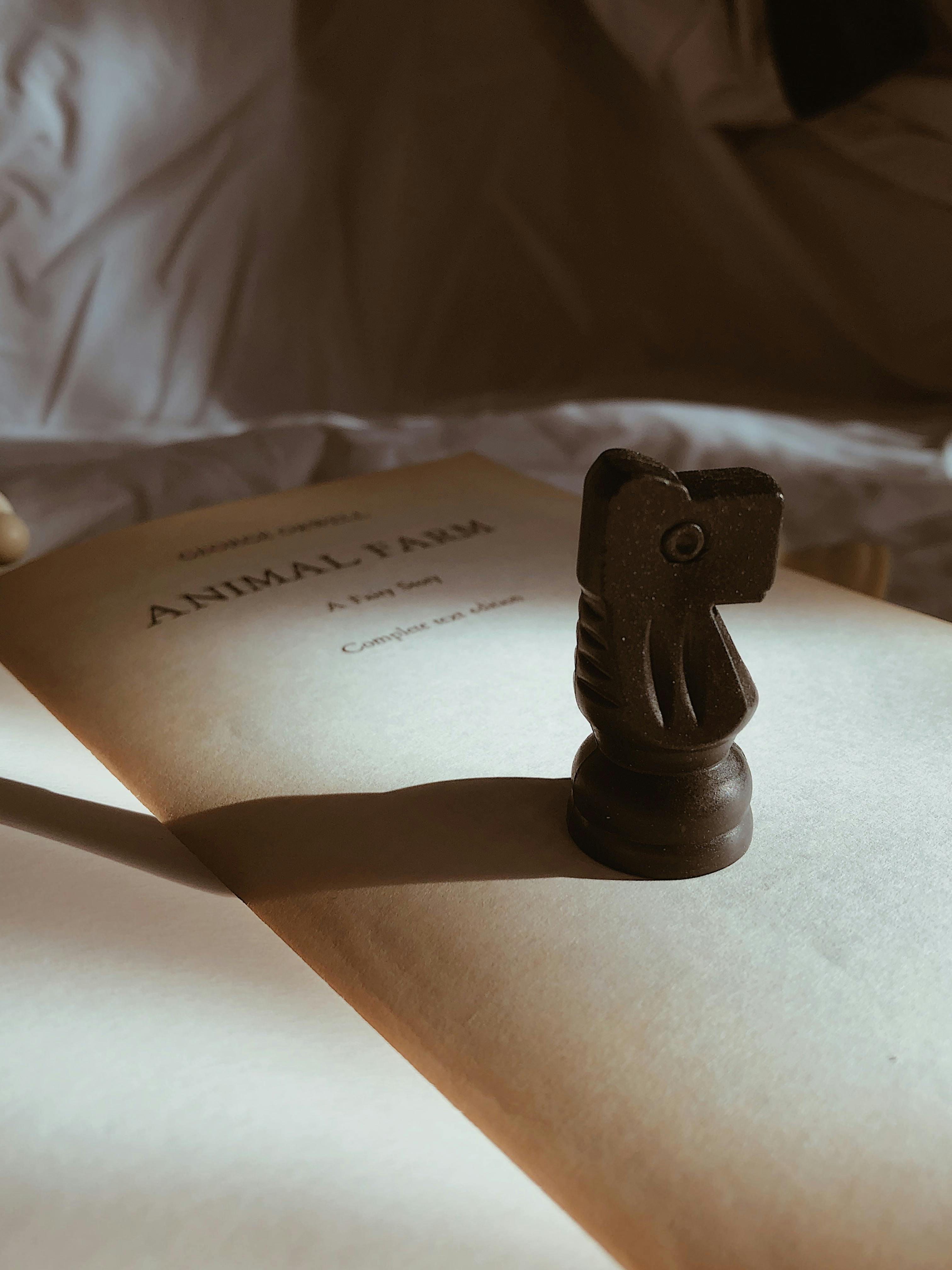 One Piece Book Photos, Download The BEST Free One Piece Book Stock ...