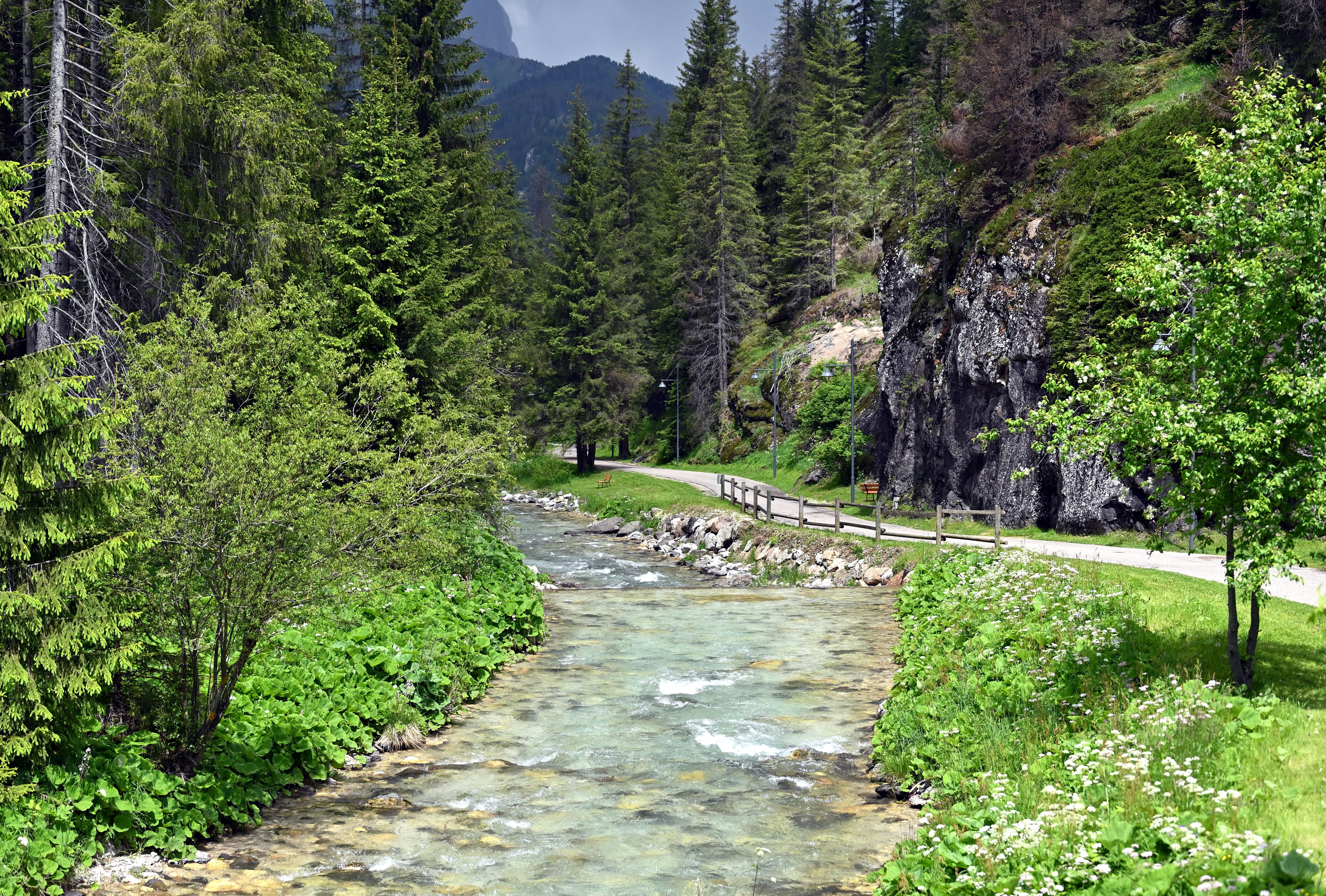 Stream in Summer · Free Stock Photo