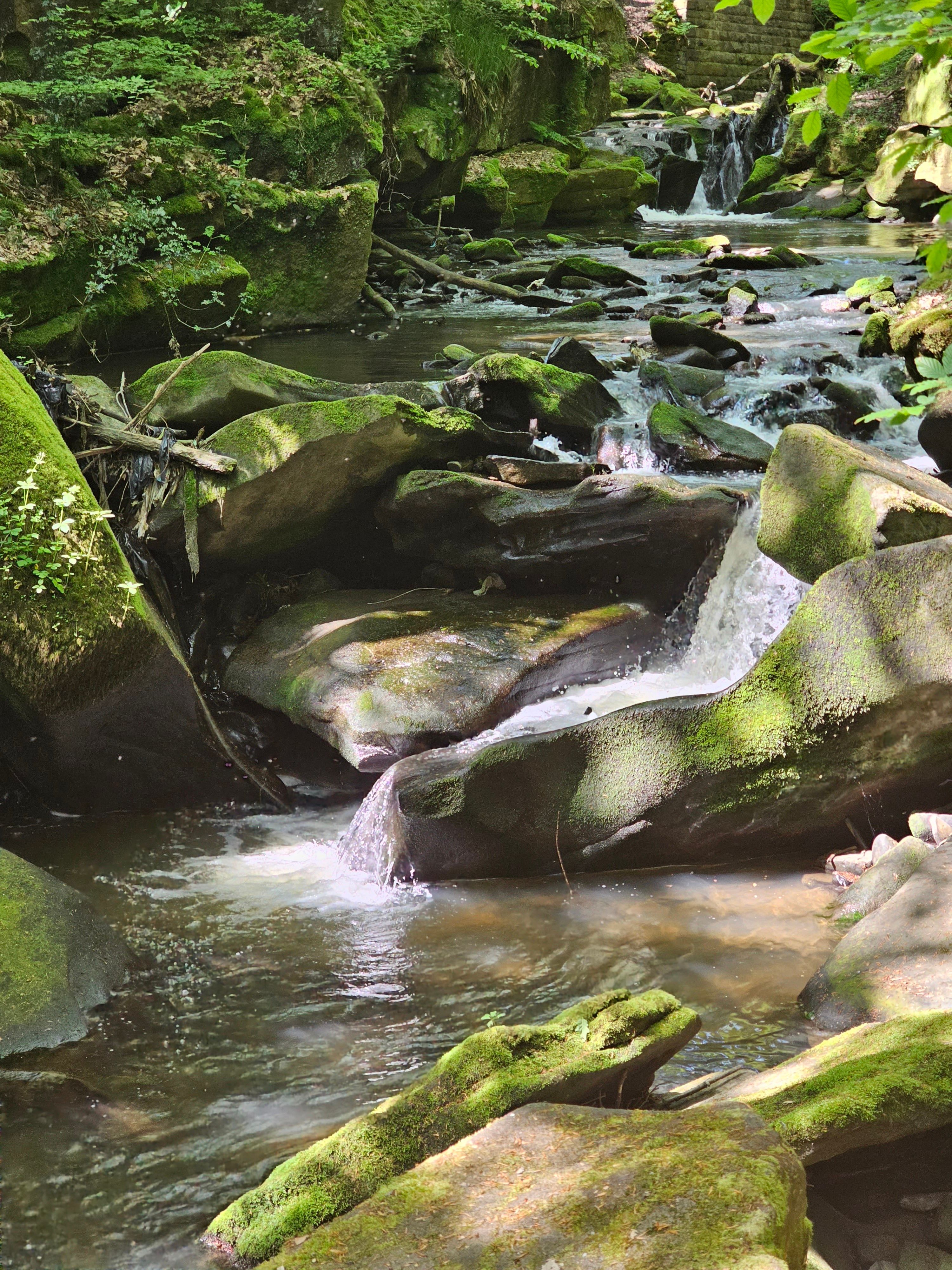 Stream Flowing on Rocks · Free Stock Photo