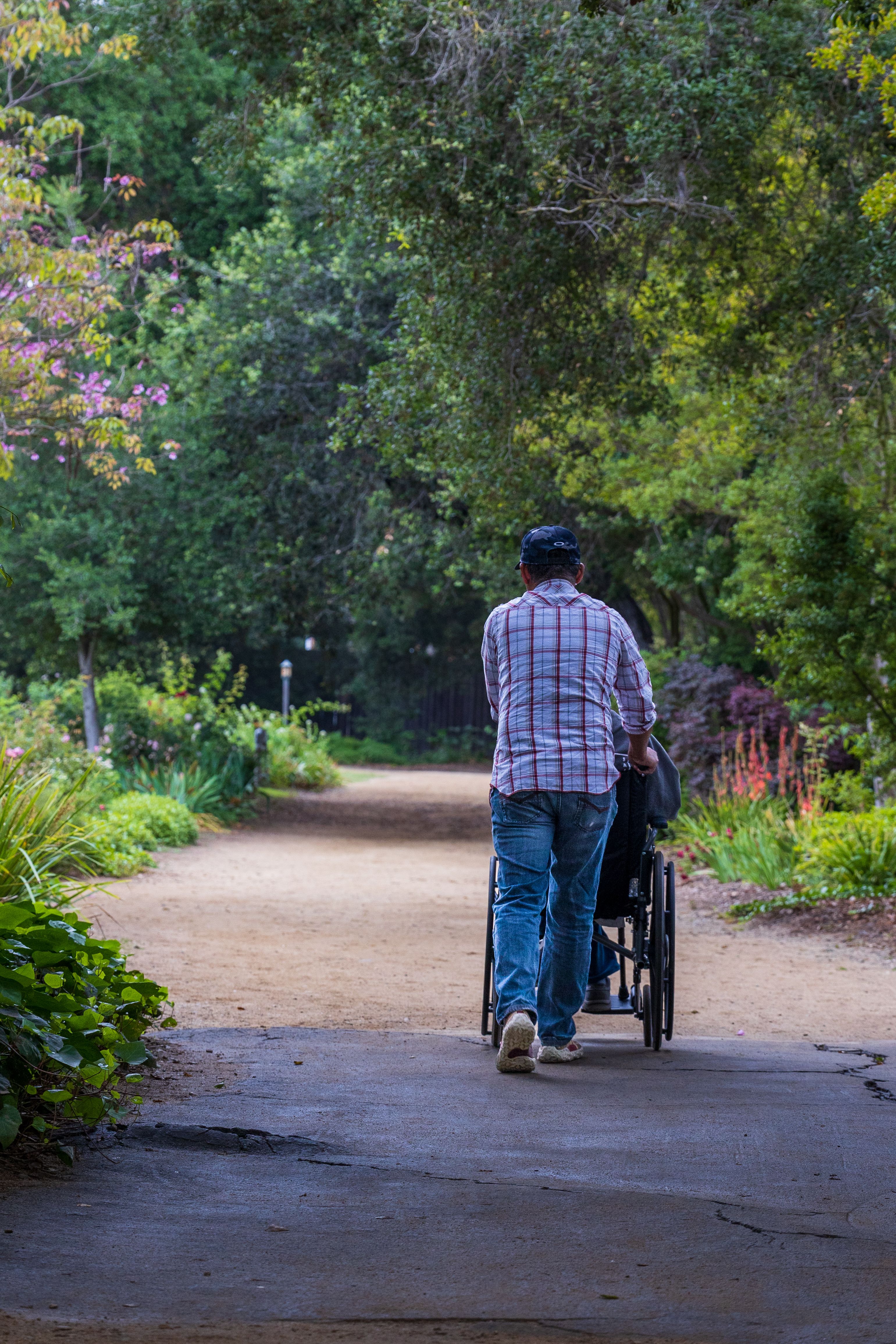 Person in Shirt Walking with Wheelchair in Park · Free Stock Photo