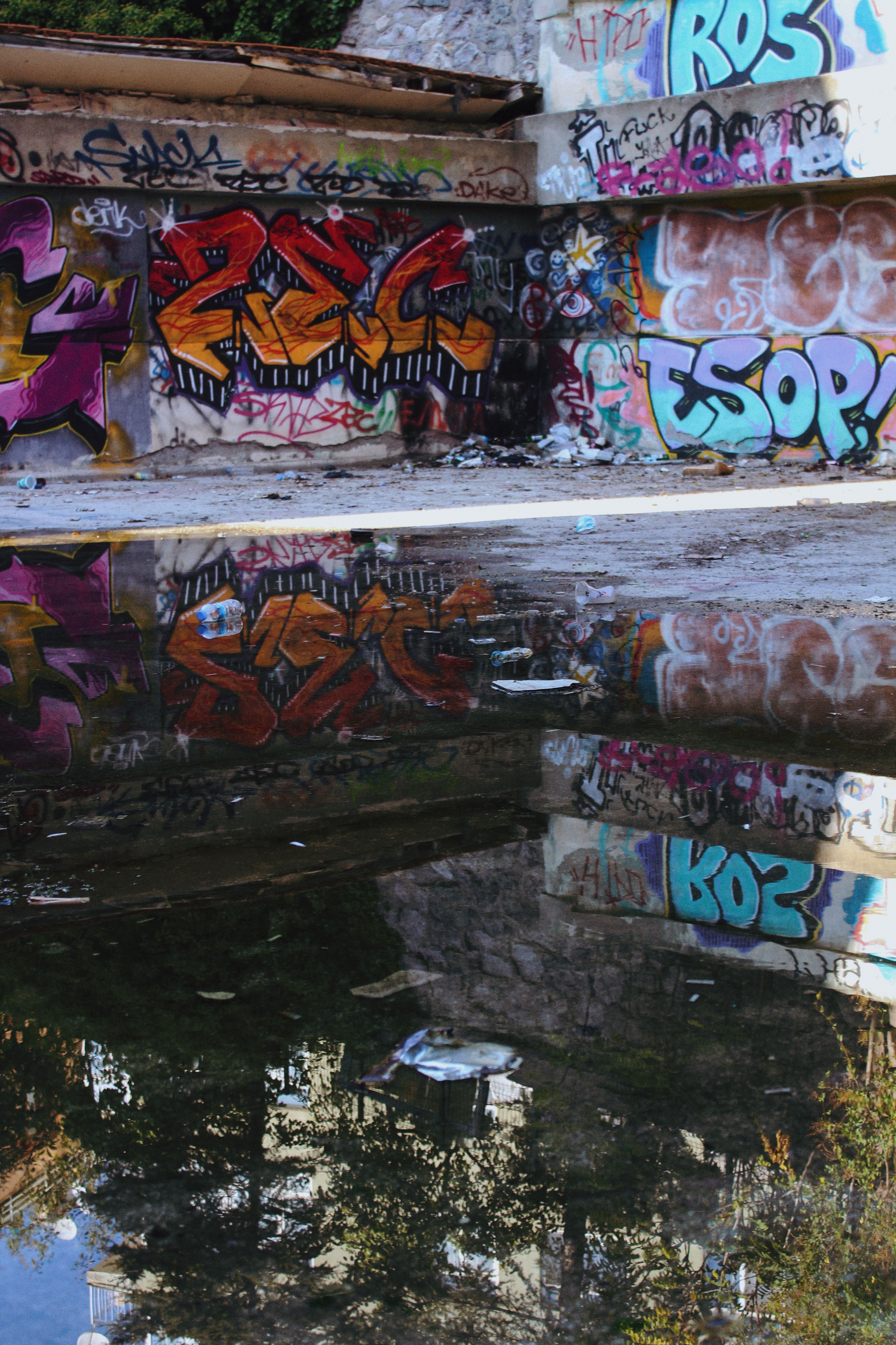 Graffiti on Wall over Puddle · Free Stock Photo