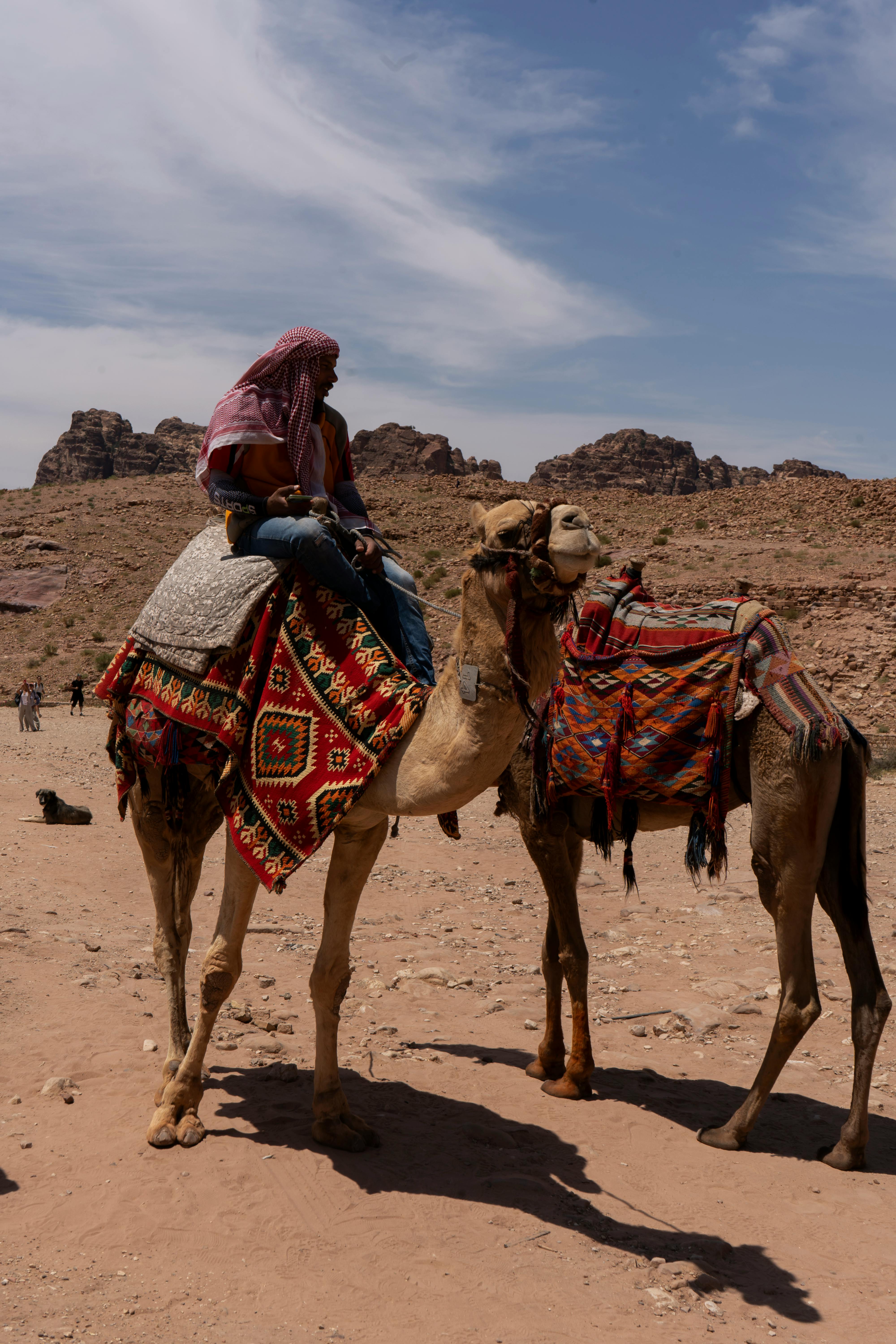 A Man Riding Camel on Desert · Free Stock Photo