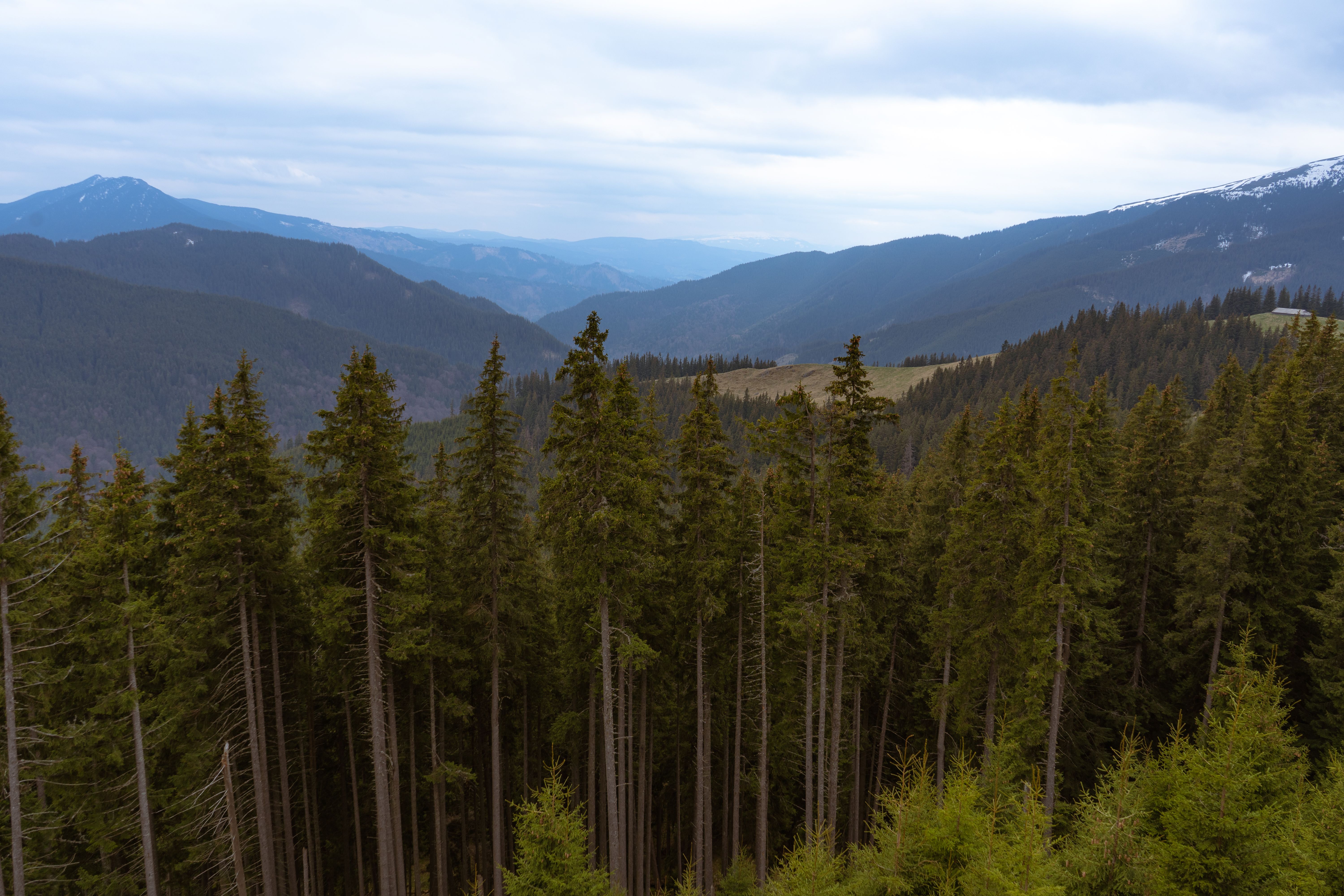 A Mountain Landscape · Free Stock Photo